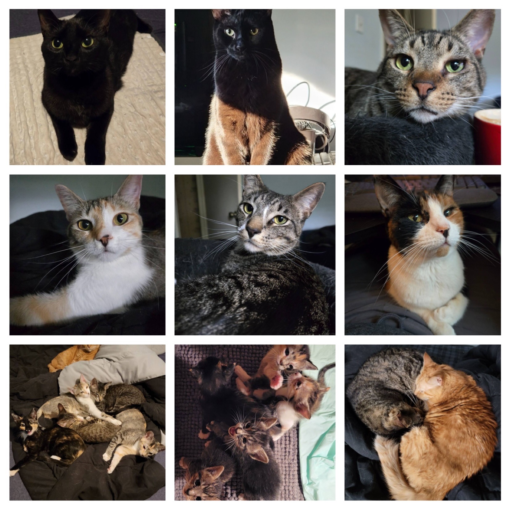 Fundraiser for Casey DeHart by Daryann Hansen : Support Sig's Recovery ...