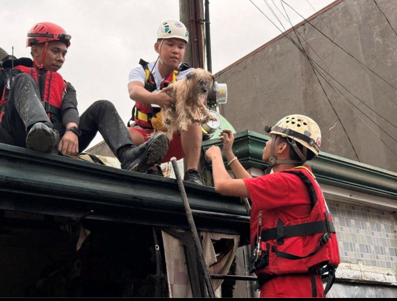 Fundraiser by Klent Almario : Help support Negros Island after Typhoon Kalmaegi