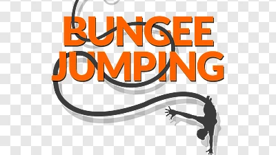 Fundraiser by LYNN NICOLL : Bungee Jump