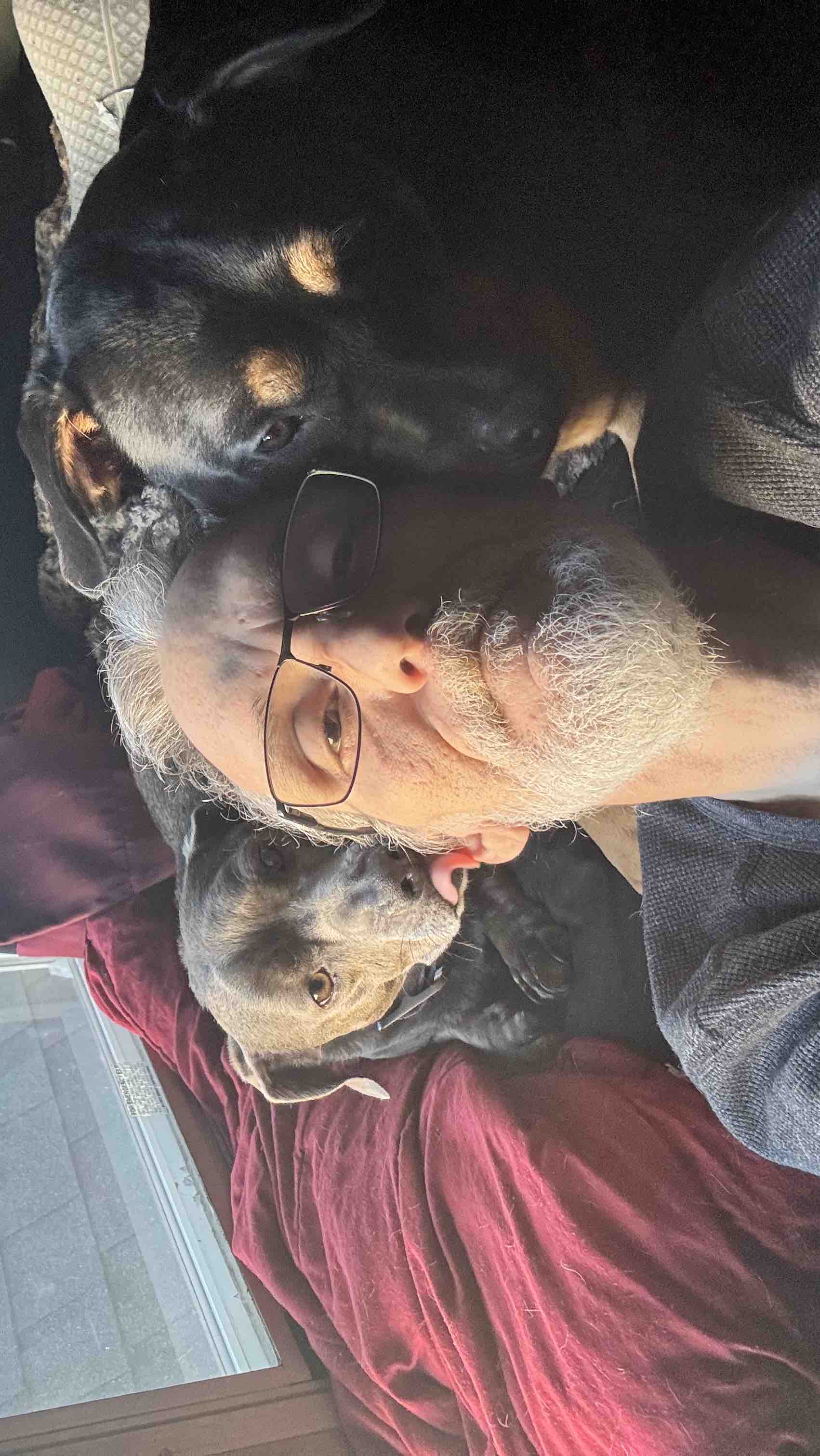 Fundraiser by Gary McBurney : Help Joey, Blu & Rocco Escape Abuse and ...