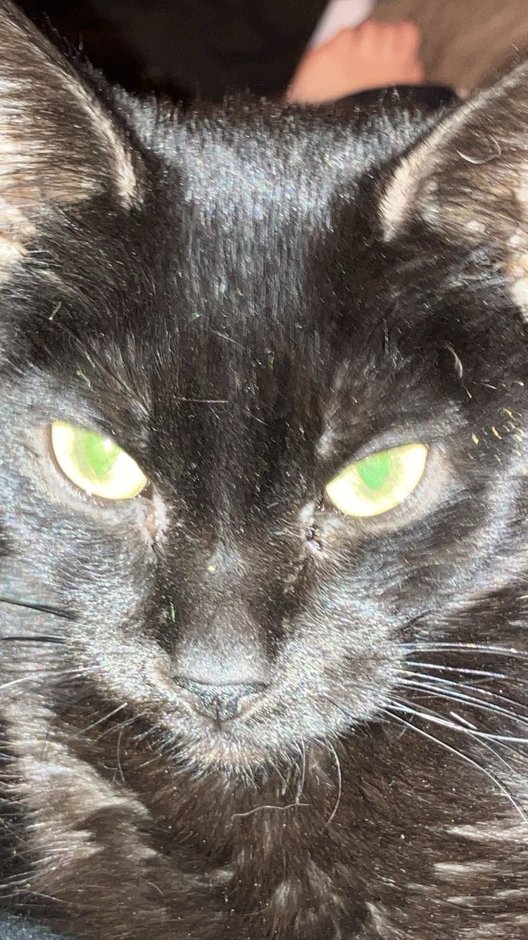 Fundraiser for Brian Sweeney by Caitlin Sweeney : Help the Sweeney ...