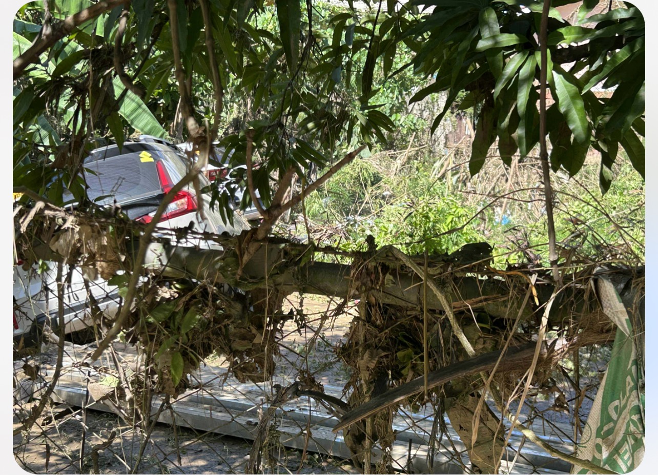 Fundraiser by Cedarra Hammond : Help CotCot Liloan Cebu Families ...