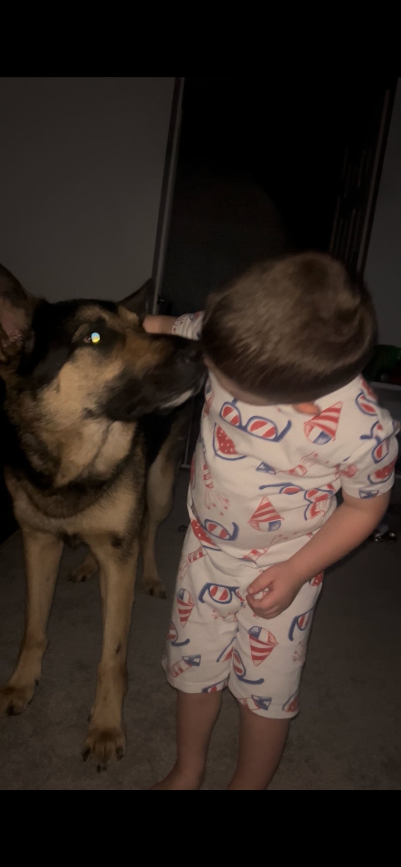 Fundraiser by Joe Terlingo : Help Theo Recover from Severe Accident