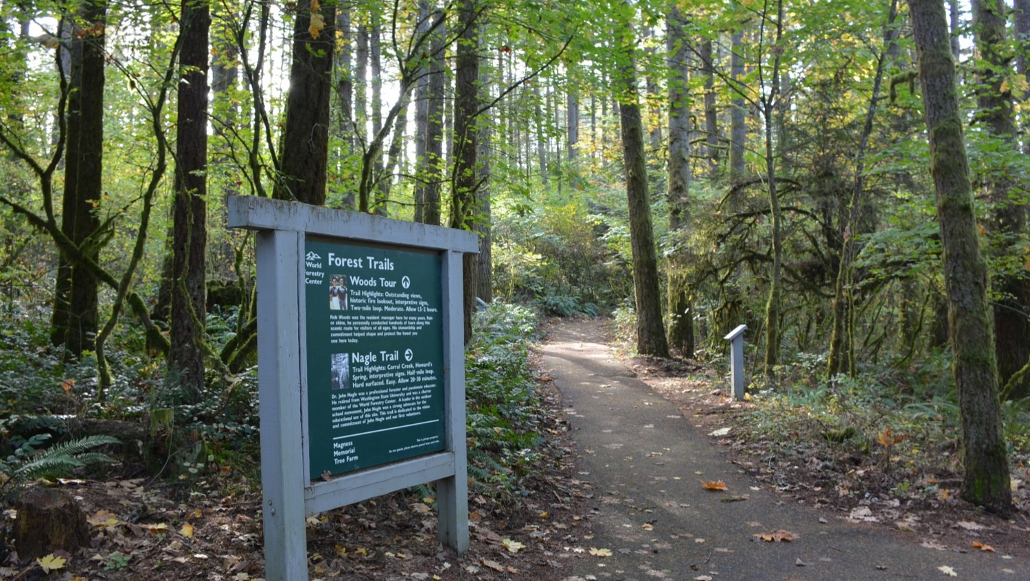 Fundraiser by Leann Bennett : Support Saving Magness Memorial Tree Farm