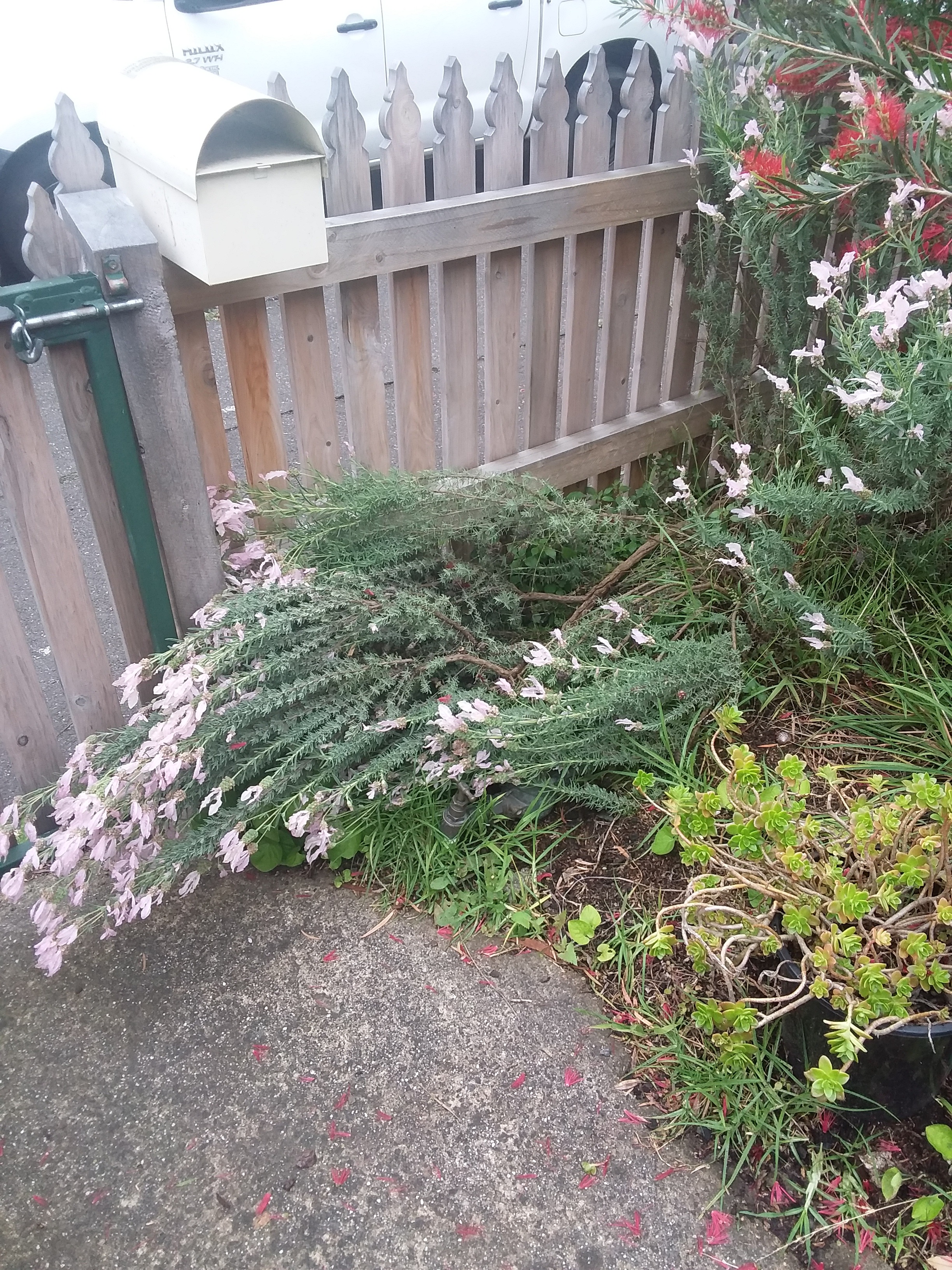 Fundraiser for Gabrielle Arnold by Chariss Free : Help C and Z move to ...