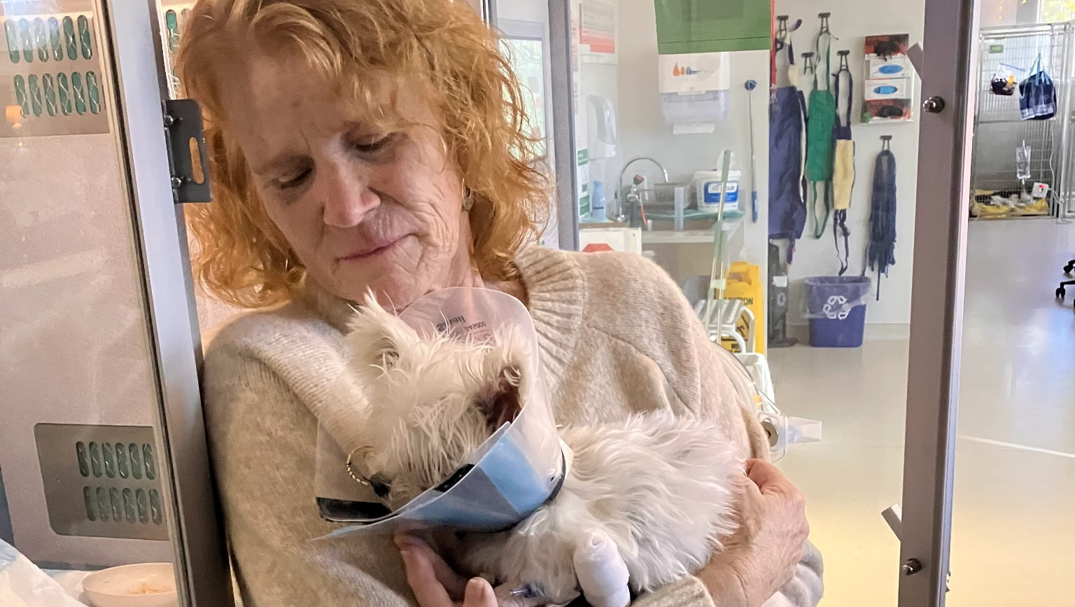 Fundraiser by Tracy Perkins : Lily Needs More Time, Help Us Give It To Her