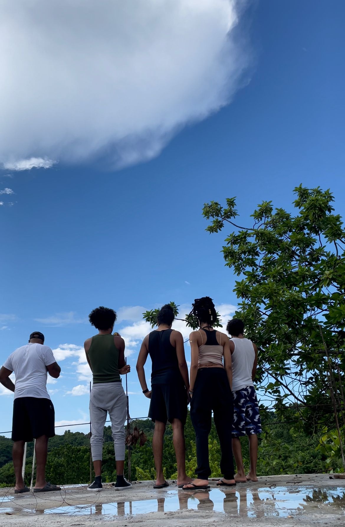 Fundraiser by Jasmine Vagabond Jazz : Help the Pringle Family Rebuild ...