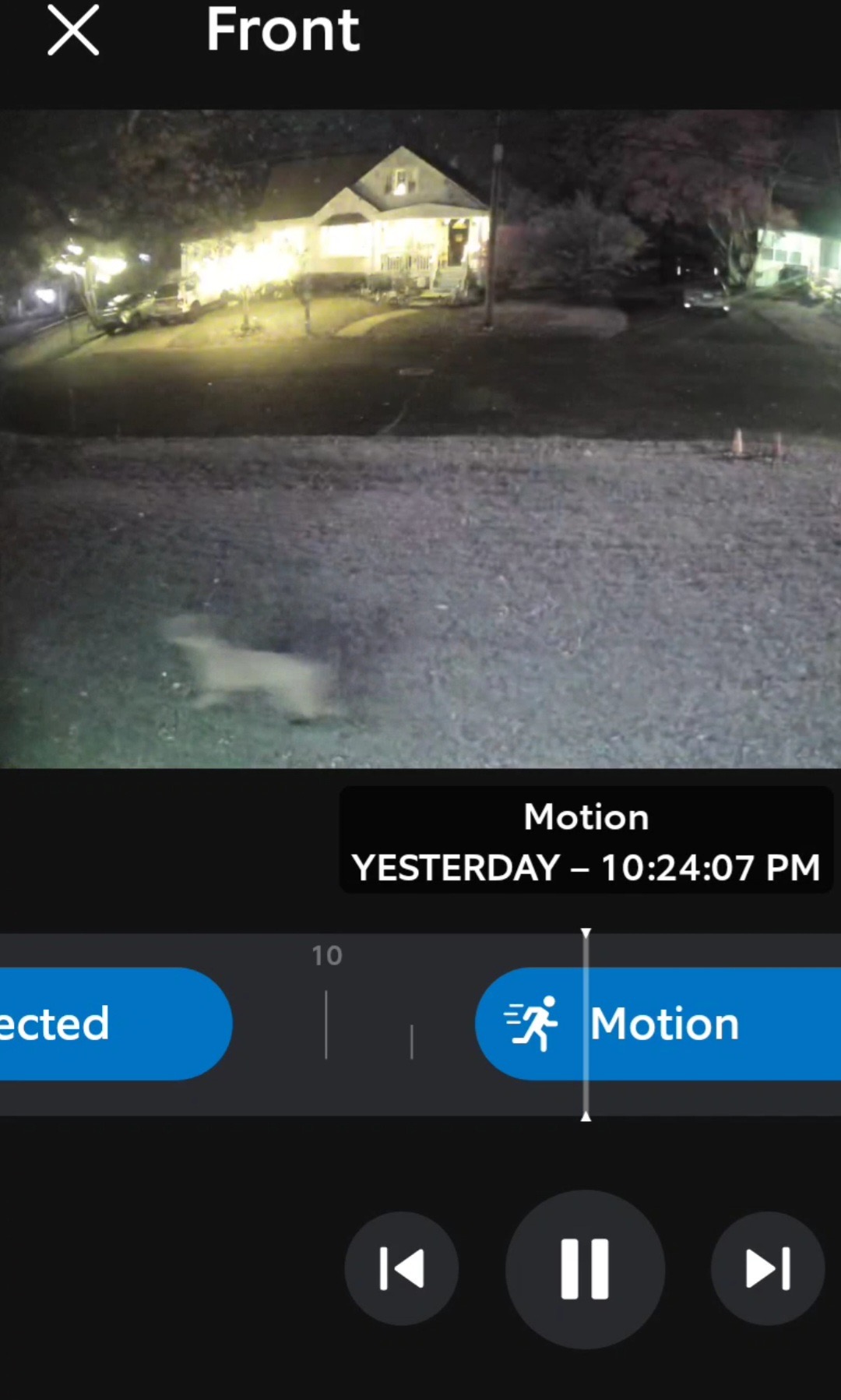 Fundraiser by Cole Callahan : Help Kodi Recover from Hit and Run Injuries