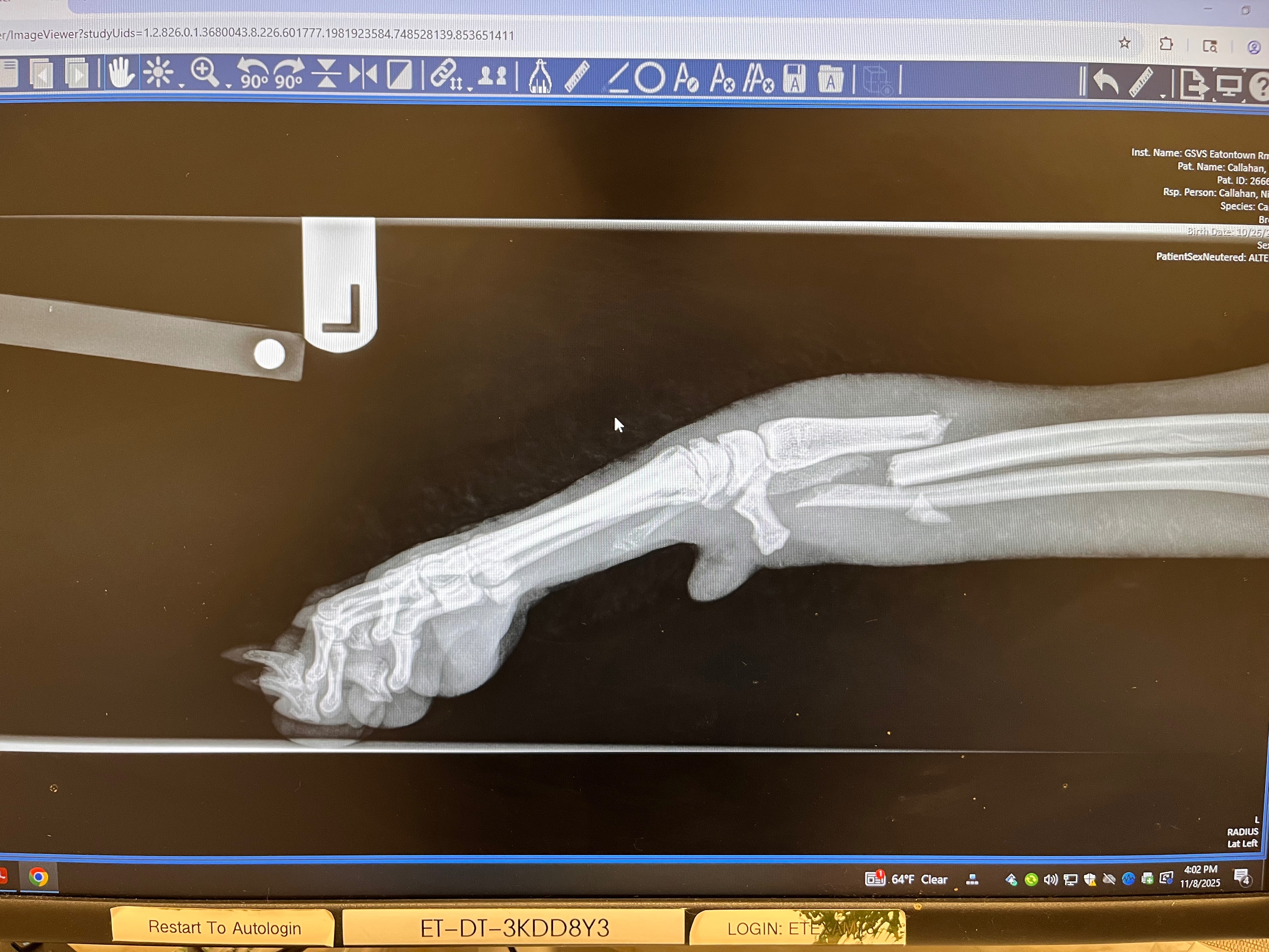 Fundraiser by Cole Callahan : Help Kodi Recover from Hit and Run Injuries