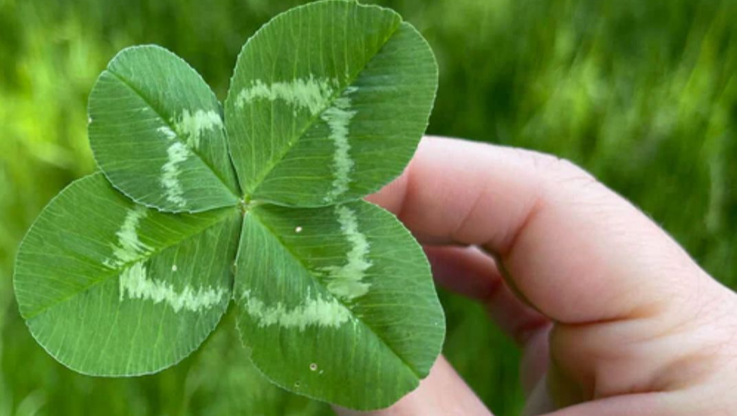 Fundraiser by Alina-Madleen Szamecki : Gemeinsam stark für meinen ...