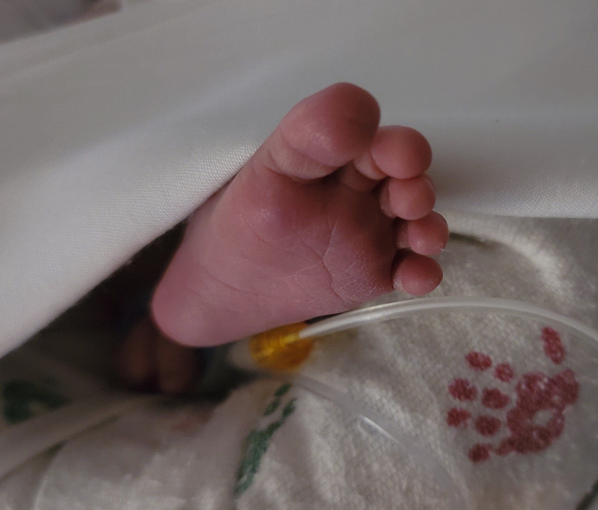 Fundraiser for Hayley Hebert by Shelby Bowman : Support Baby Zoey’s ...