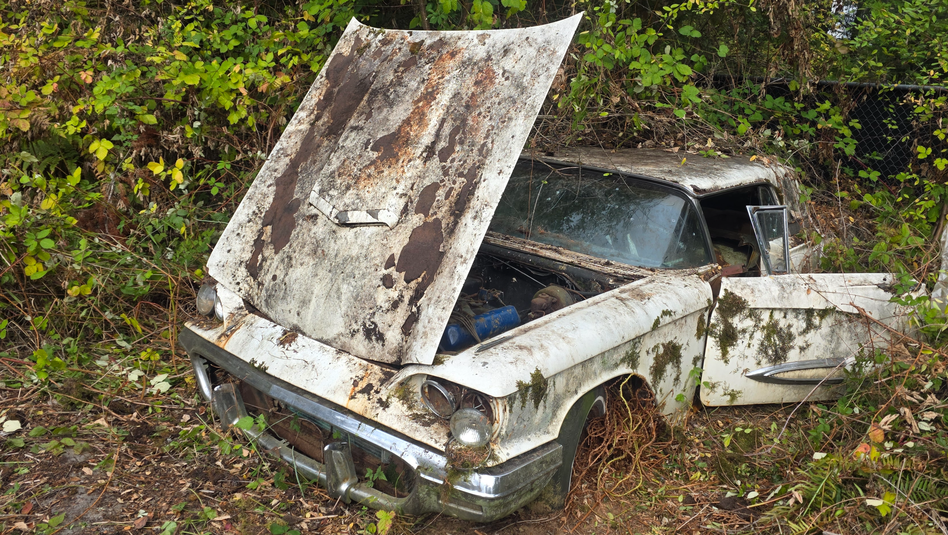 Fundraiser by James Hartsell : Help James Restore a Classic 1959 ...