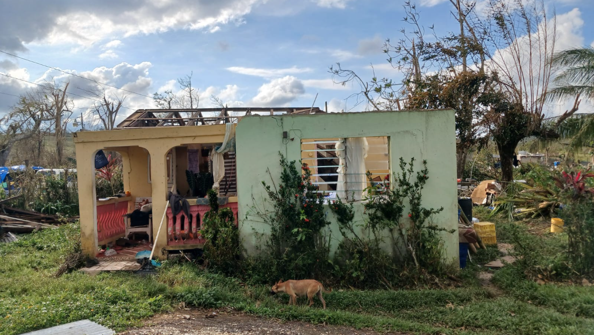 Fundraiser by Wayne Peel : Hurricane mellisa Jamaica