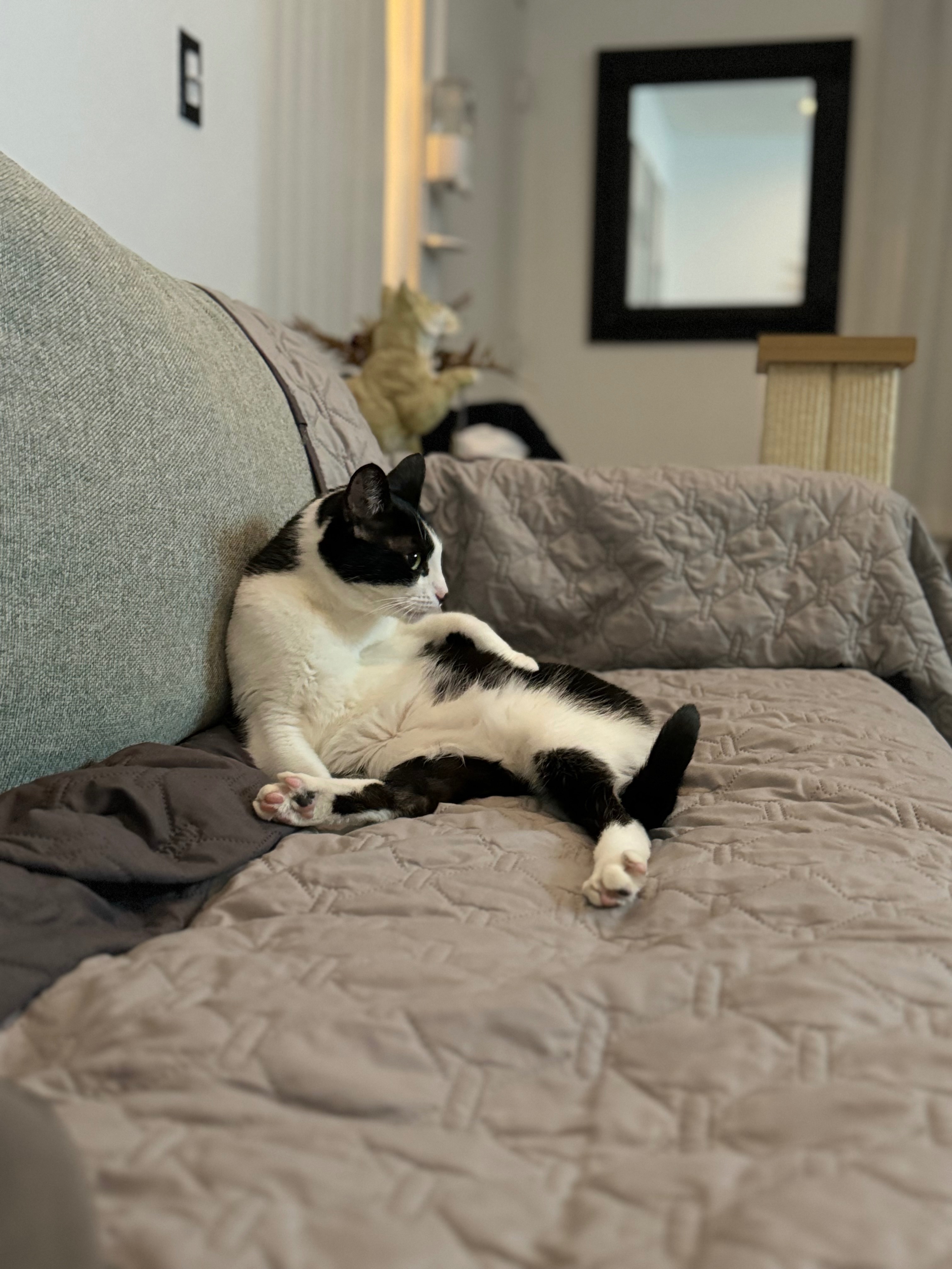 Fundraiser by Talisa Menchaca : Save Charlie's Pet Services: Help Us ...