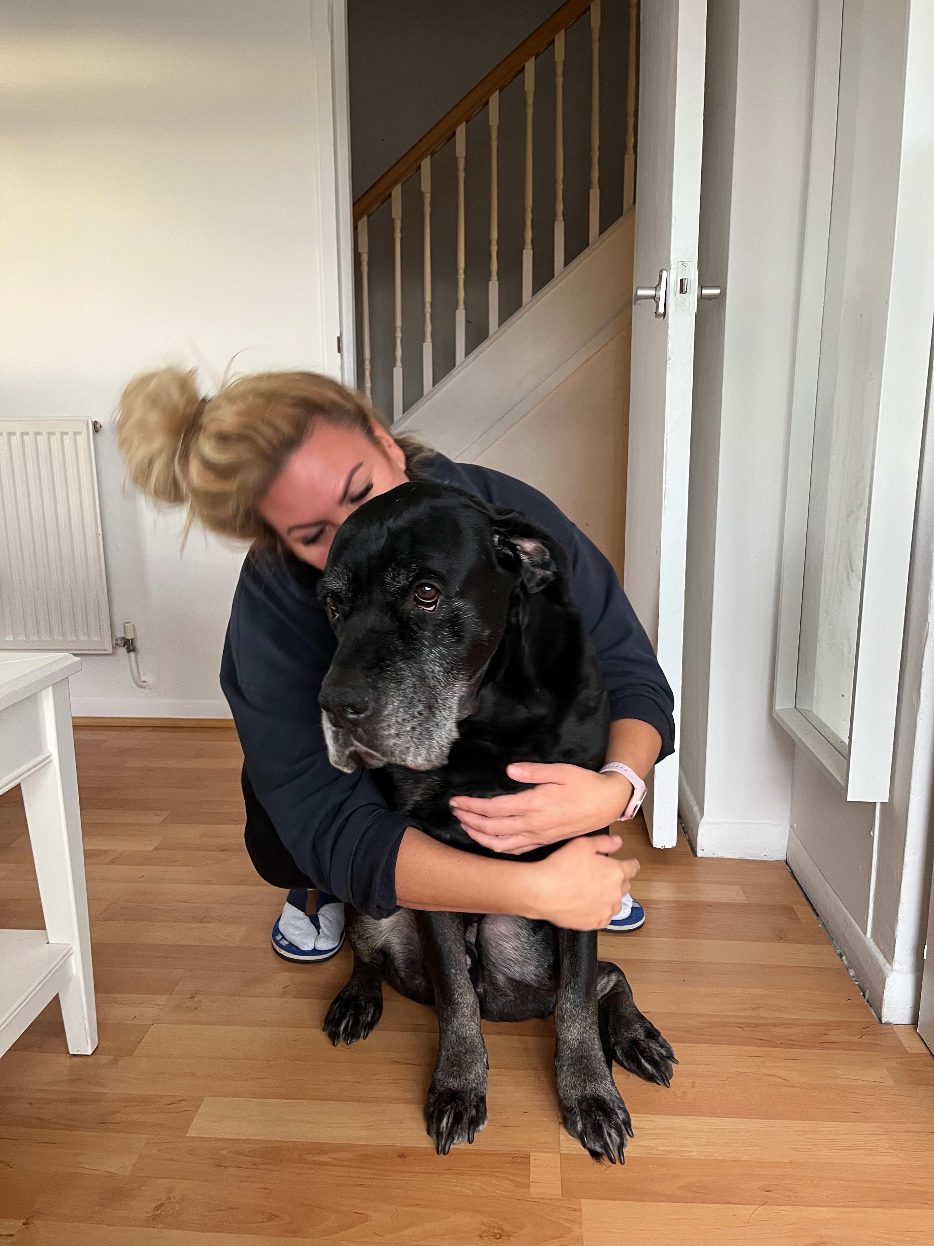 Fundraiser by Jules Jara : Bring Kane Home — A Rescue Dog’s Final Chapter