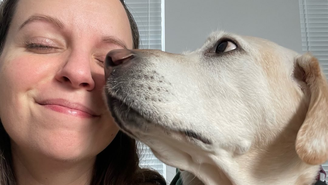 Fundraiser for Amanda Spears by Britt Dorton : Emergency Vet Bills for ...