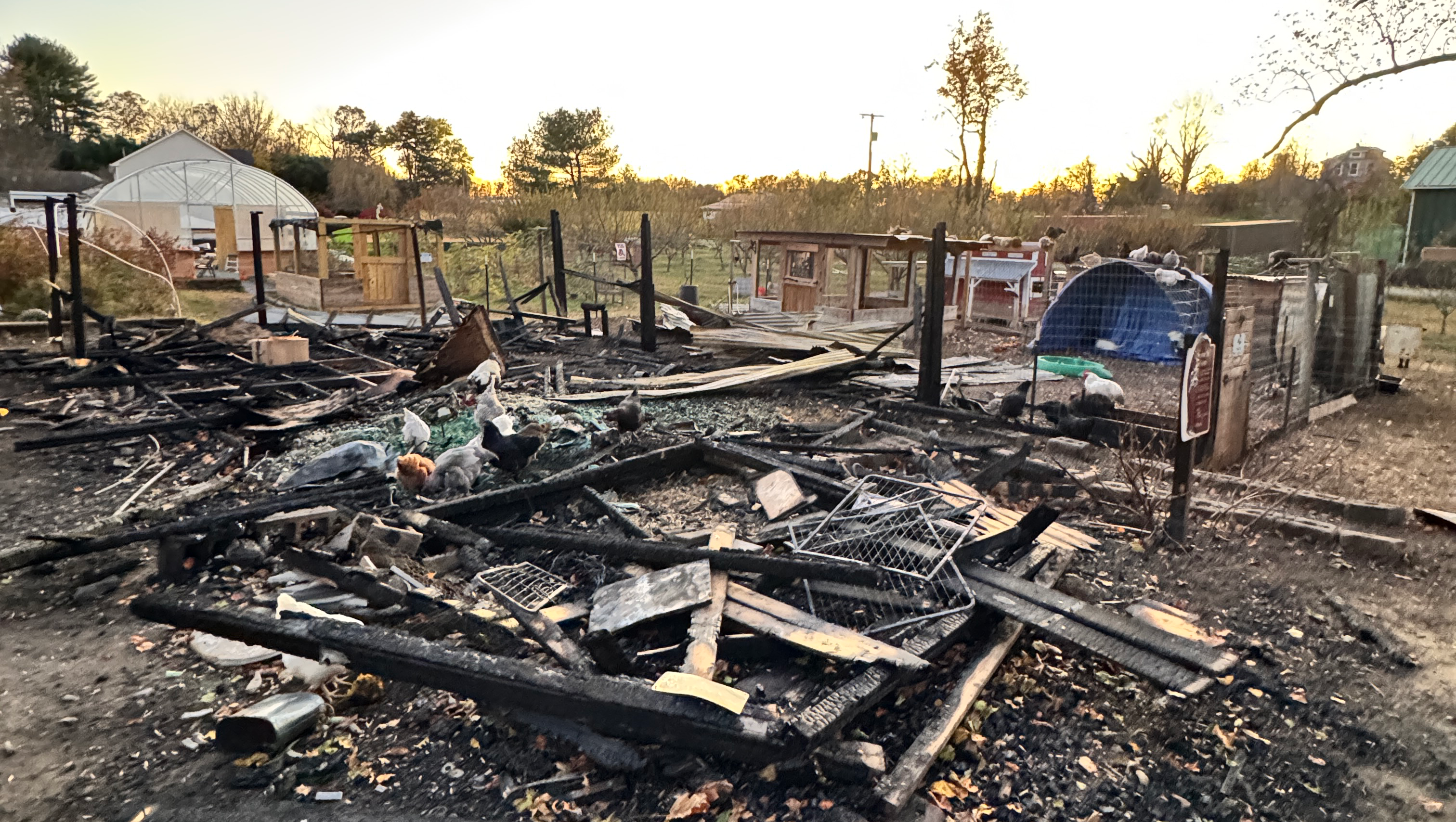 Fundraiser for Vickie Walsh by Erin Pollitt : Help Hansel Hill Farm ...