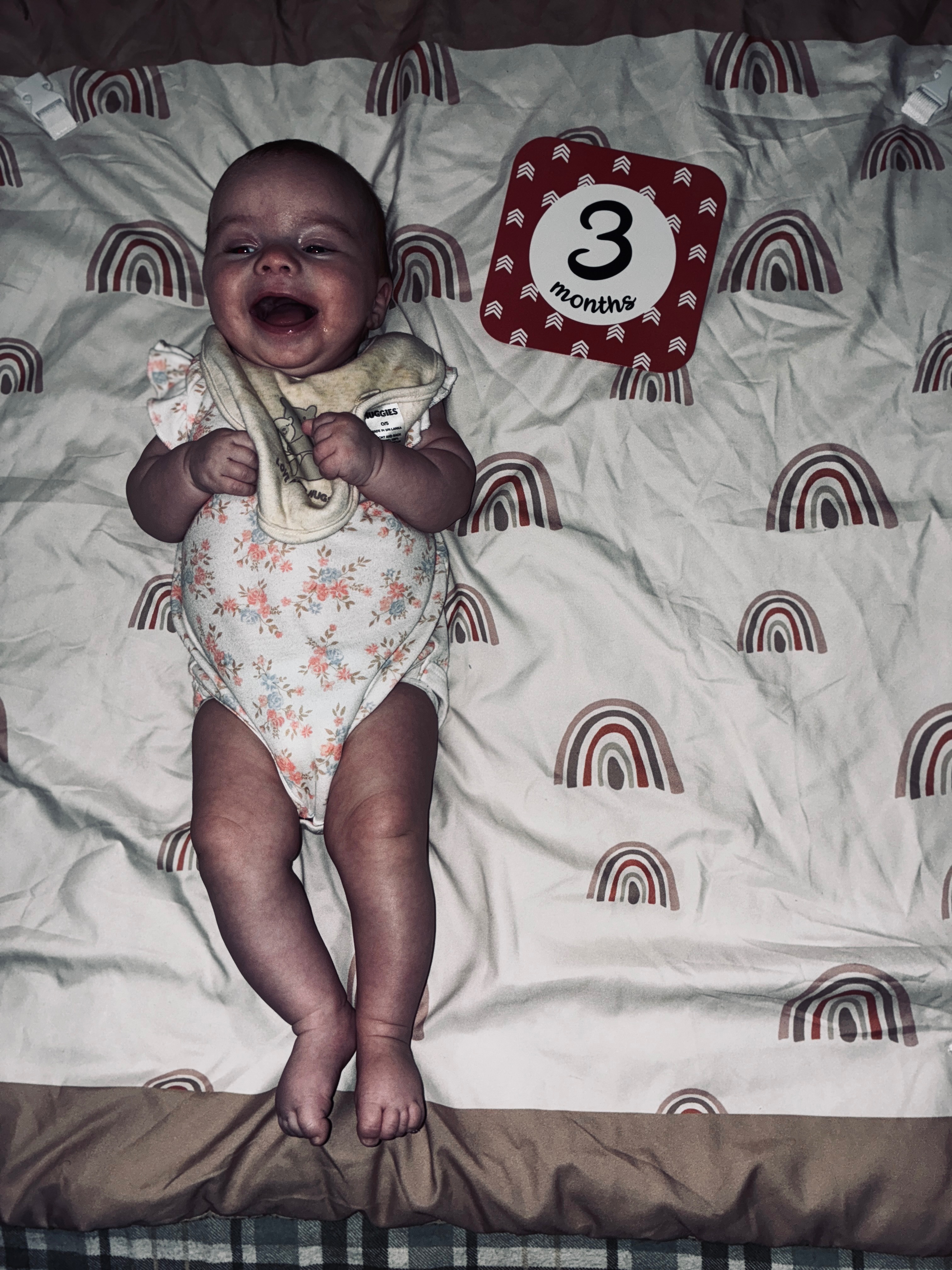 Fundraiser by Christopher McCretton : Save Sadie’s Housing—Homeless ...