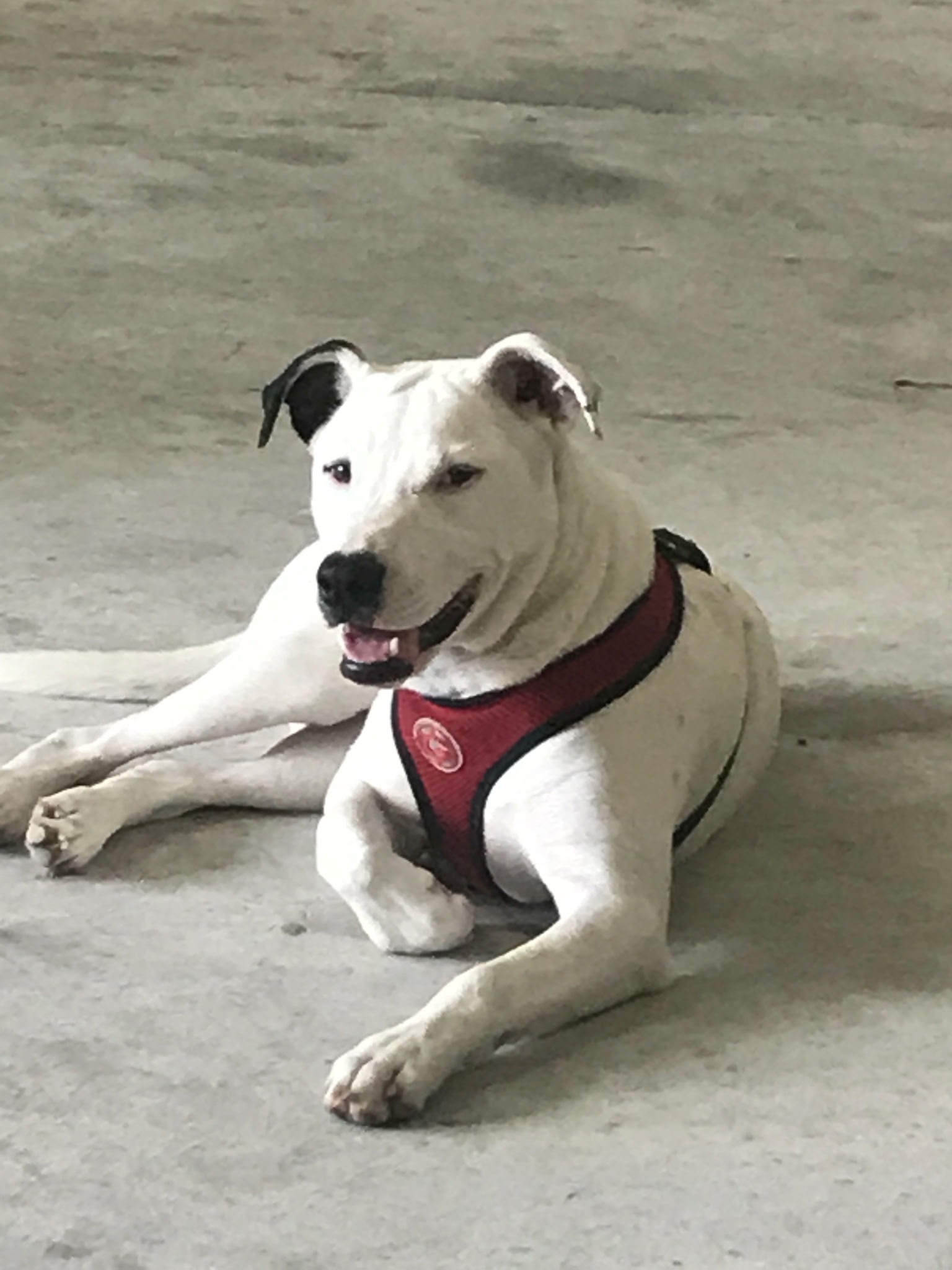 Fundraiser for Christine Winchell by Ellie Lollies : Donate to Our Pub ...