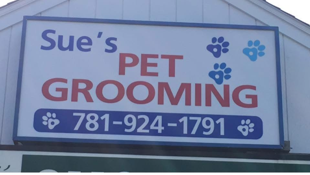 Fundraiser by Jonathan Davidson : Help Keep Her passion for animals ...