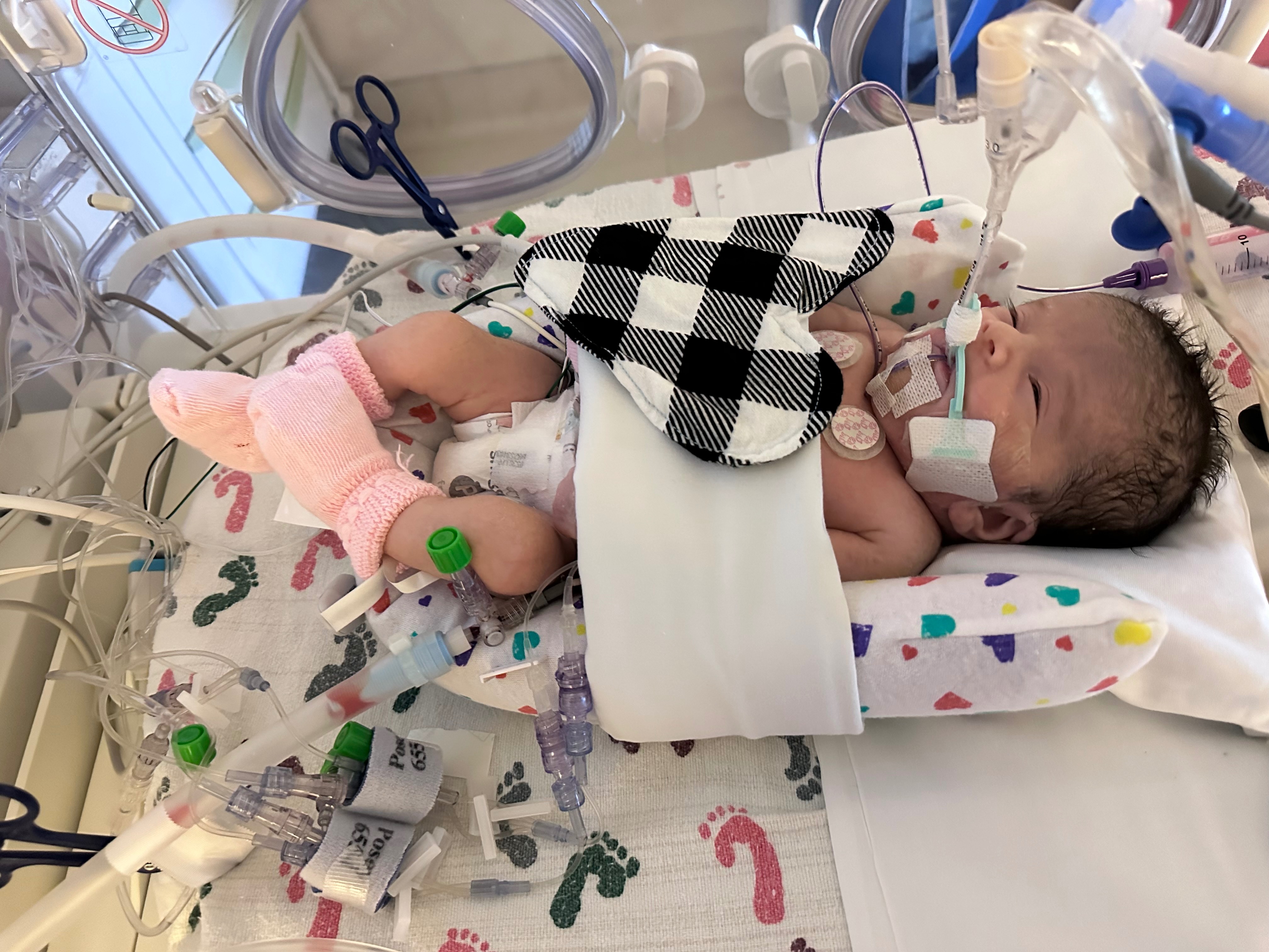 Fundraiser by Elizabeth Escobedo : Bringing Our Warrior Home: Support ...