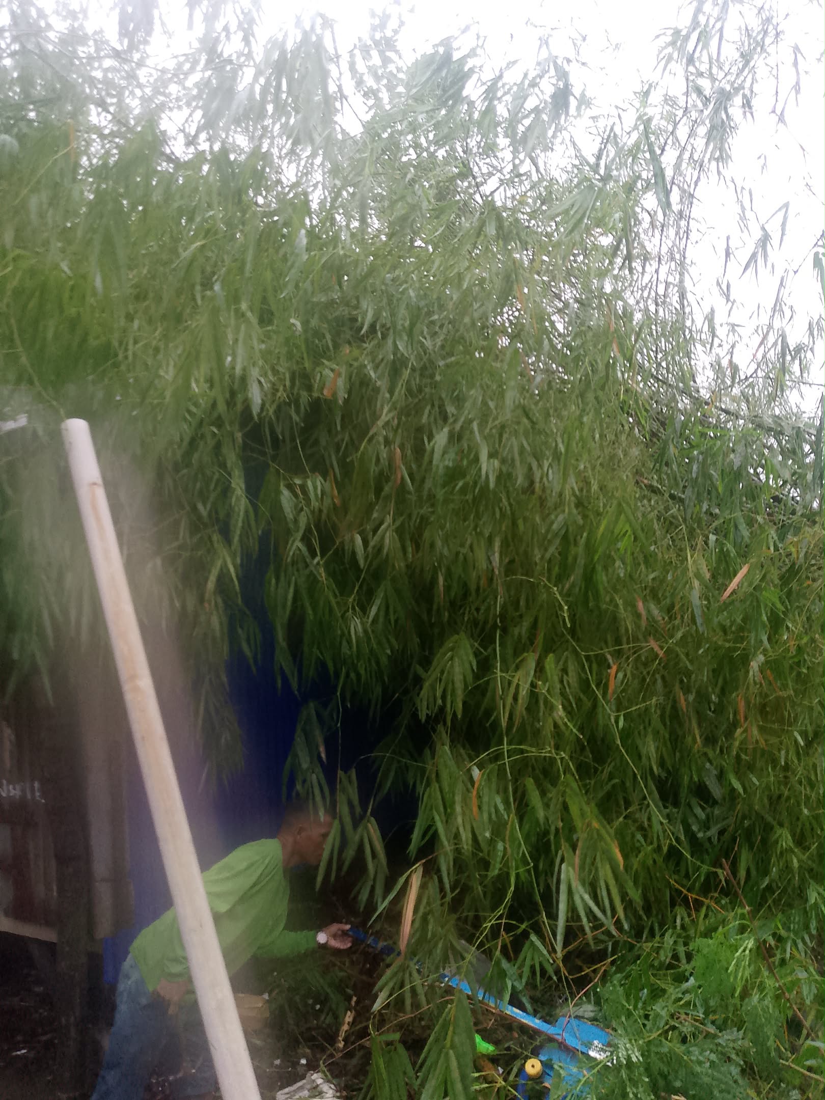 Fundraiser by Stephanie Mingo : Support the Juguilon Family in ...