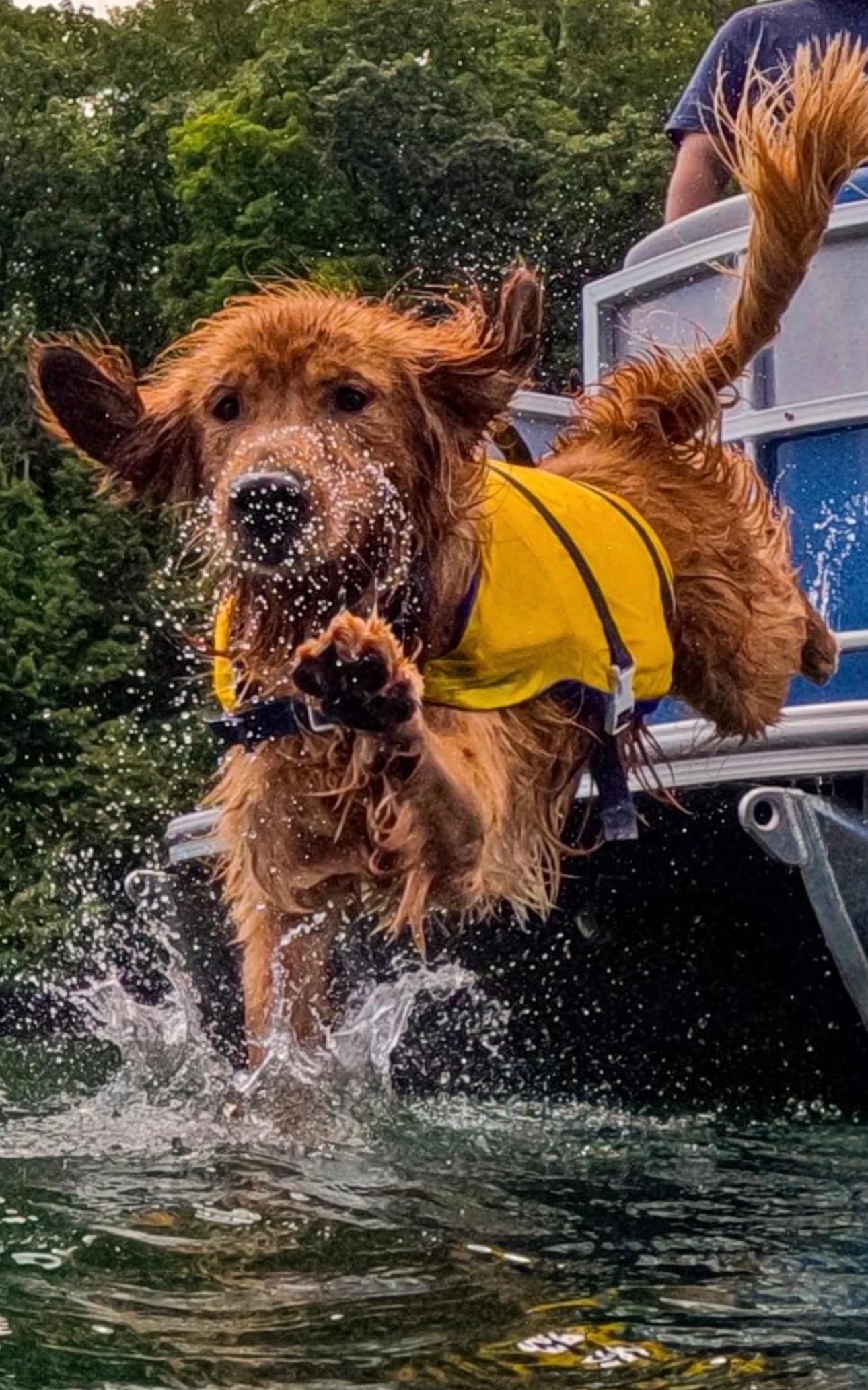 Fundraiser by James Bodner : Extend Riley's Happy Life