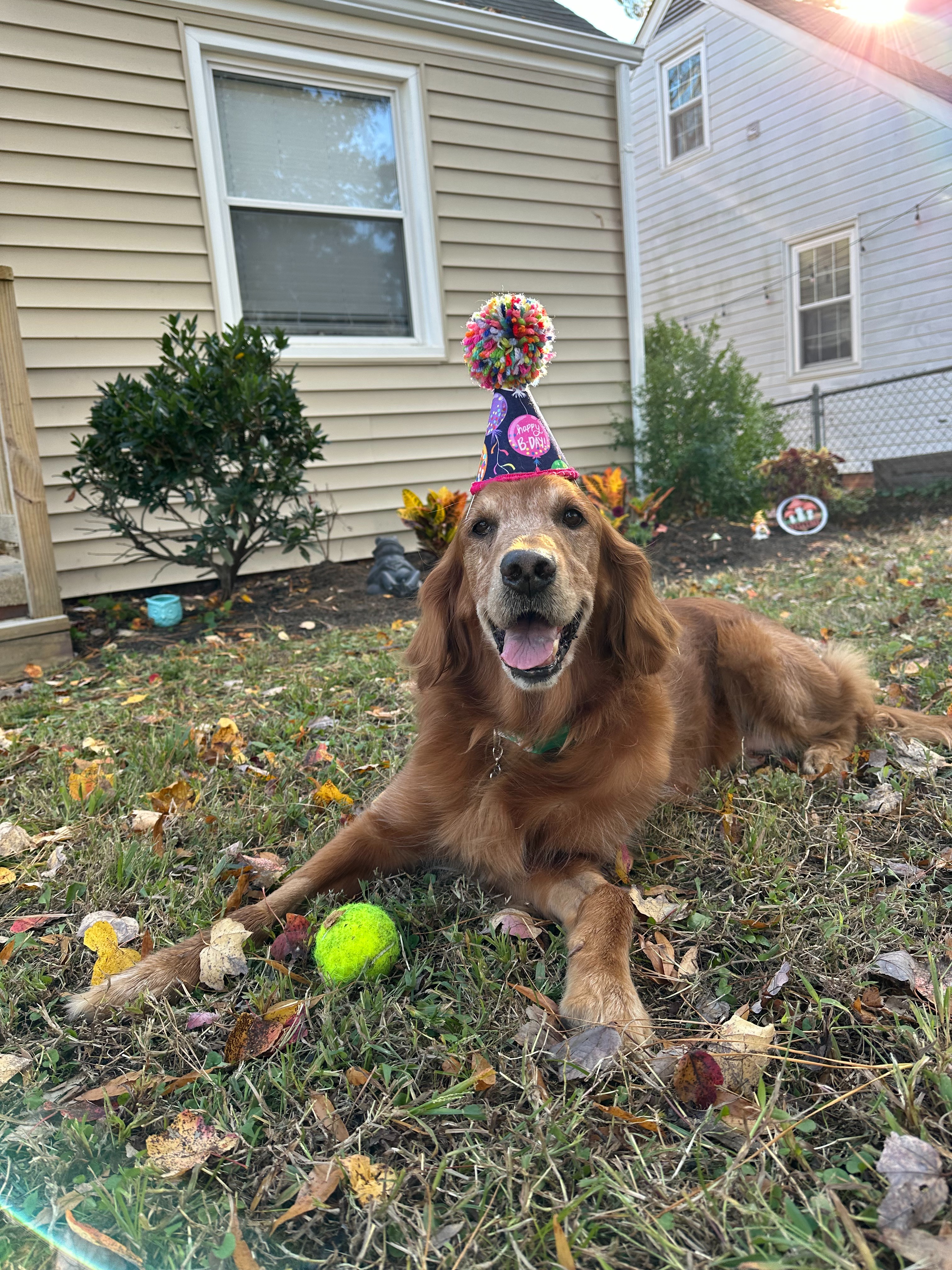 Fundraiser by Lydia James : Help Save Winter This Winter-My Best Friend ...