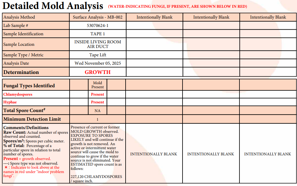 Fundraiser by Jessica Hubbell : Help Jess and Jos Breathe Easy Again