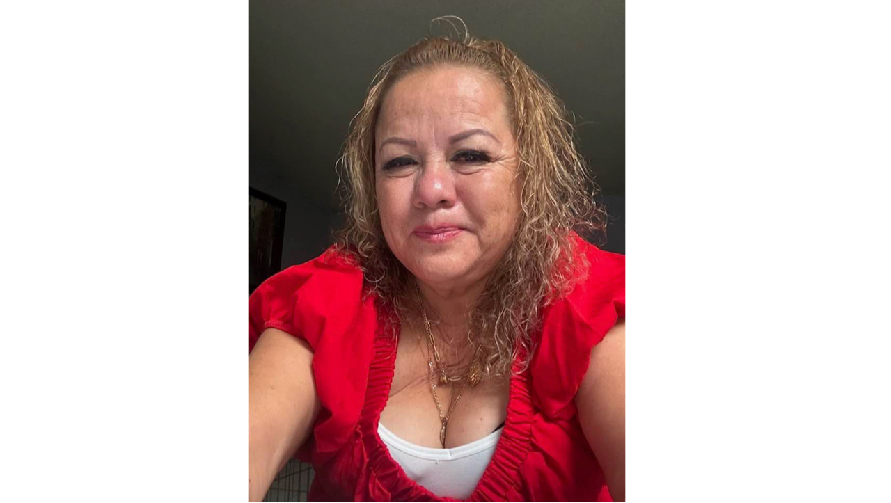 Fundraiser by Jesus Paz : In loving memory of Maria Lourdes Navarro Ibarria