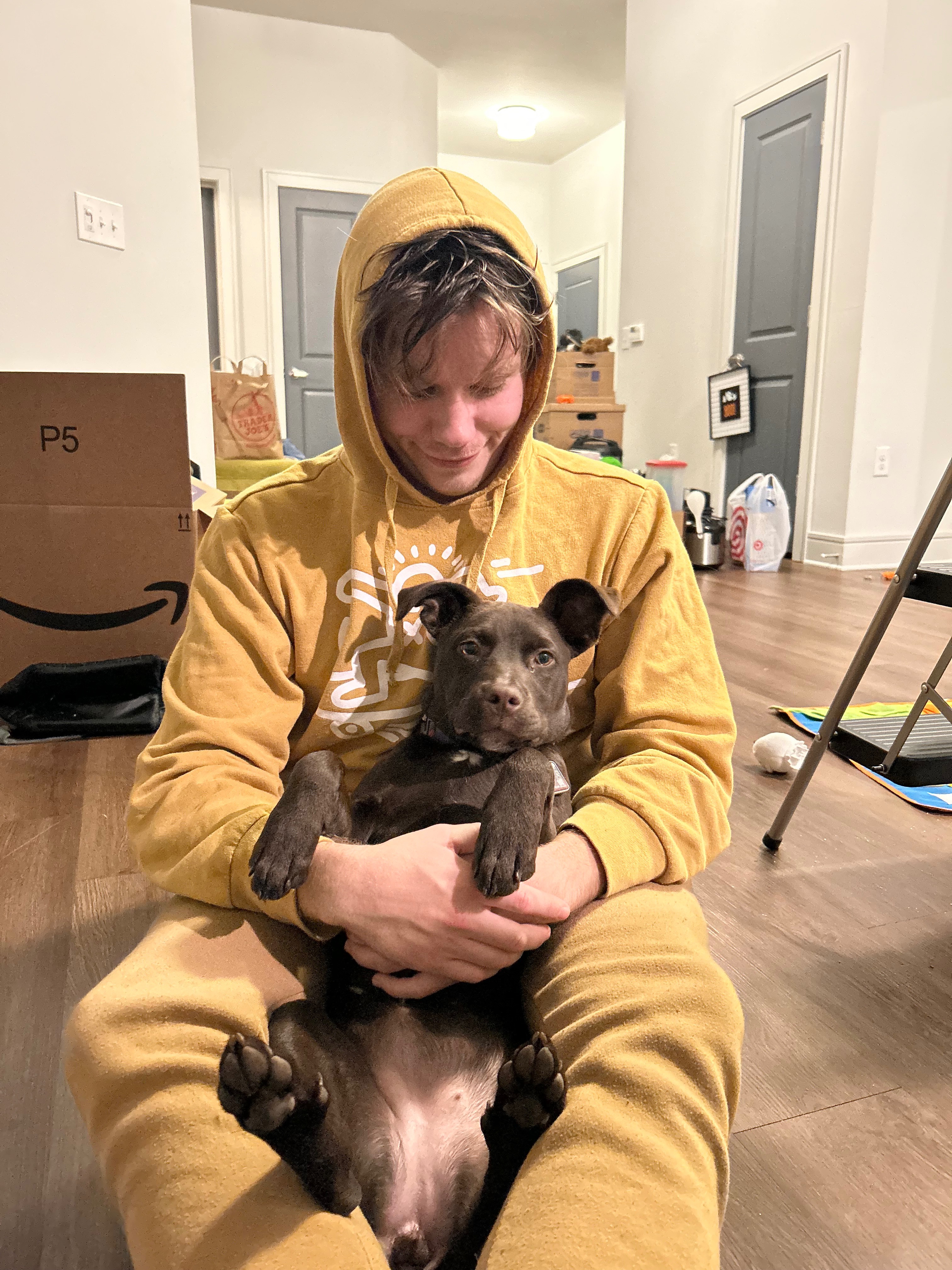 Fundraiser by Peri Wall : Restore Mocha's Mobility: Donate for Her TPLO ...