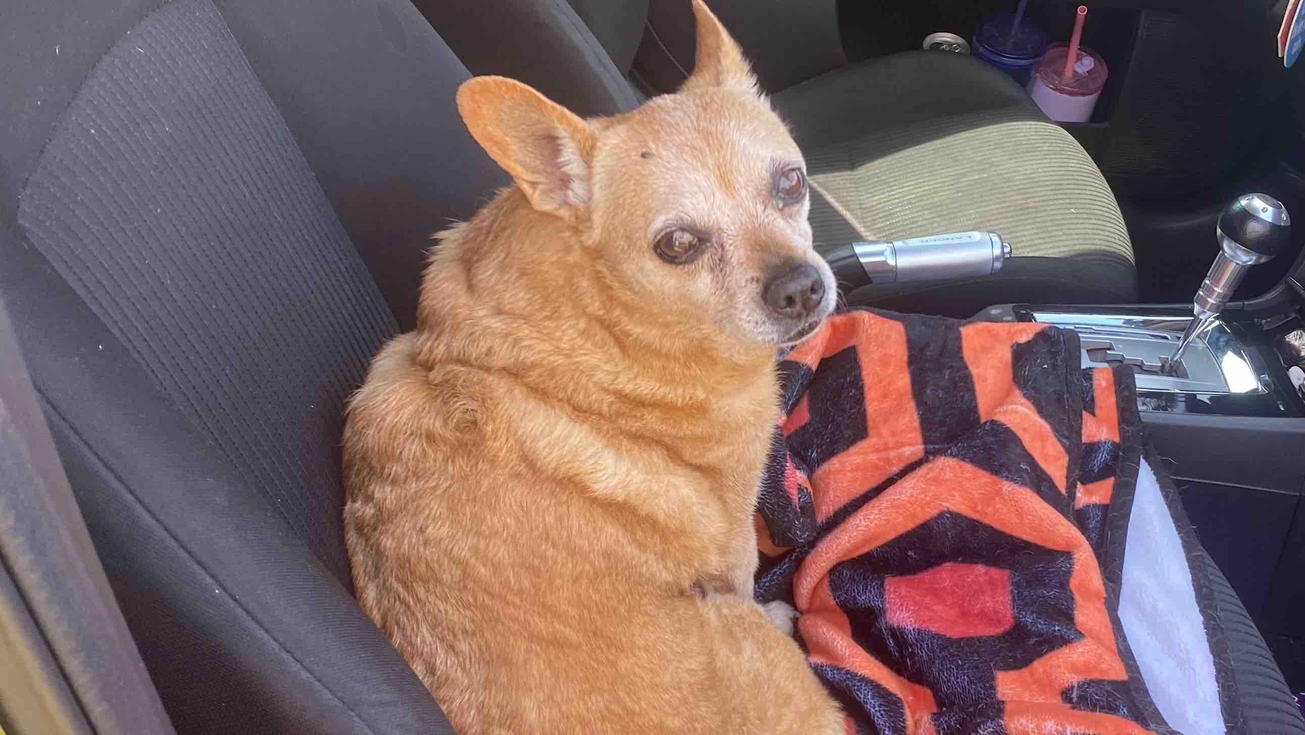 Fundraiser for KENNETH HUNTER by arianna hunter : Donate to Boo Boo's ...