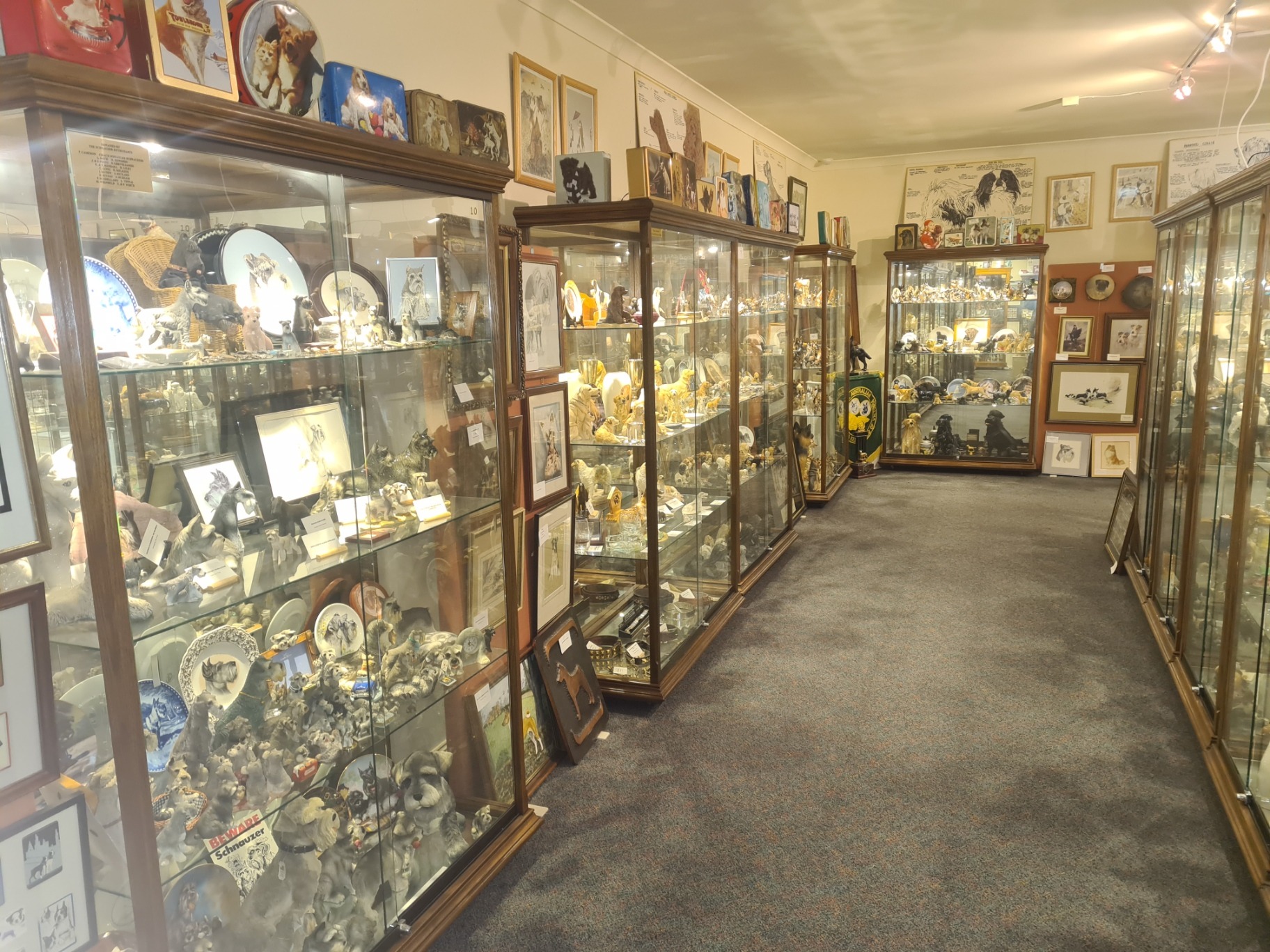 Fundraiser by paul simmonds : The Canine Museum Extension Project