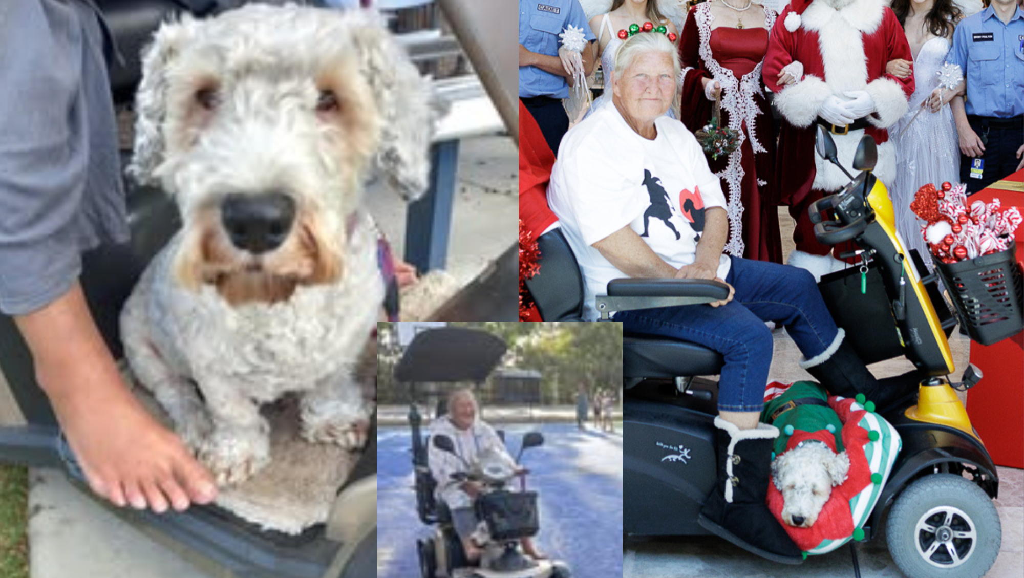 Fundraiser for JH Potter by Amy Jonas : PLEASE NO MORE DONATIONS UNTIL ...