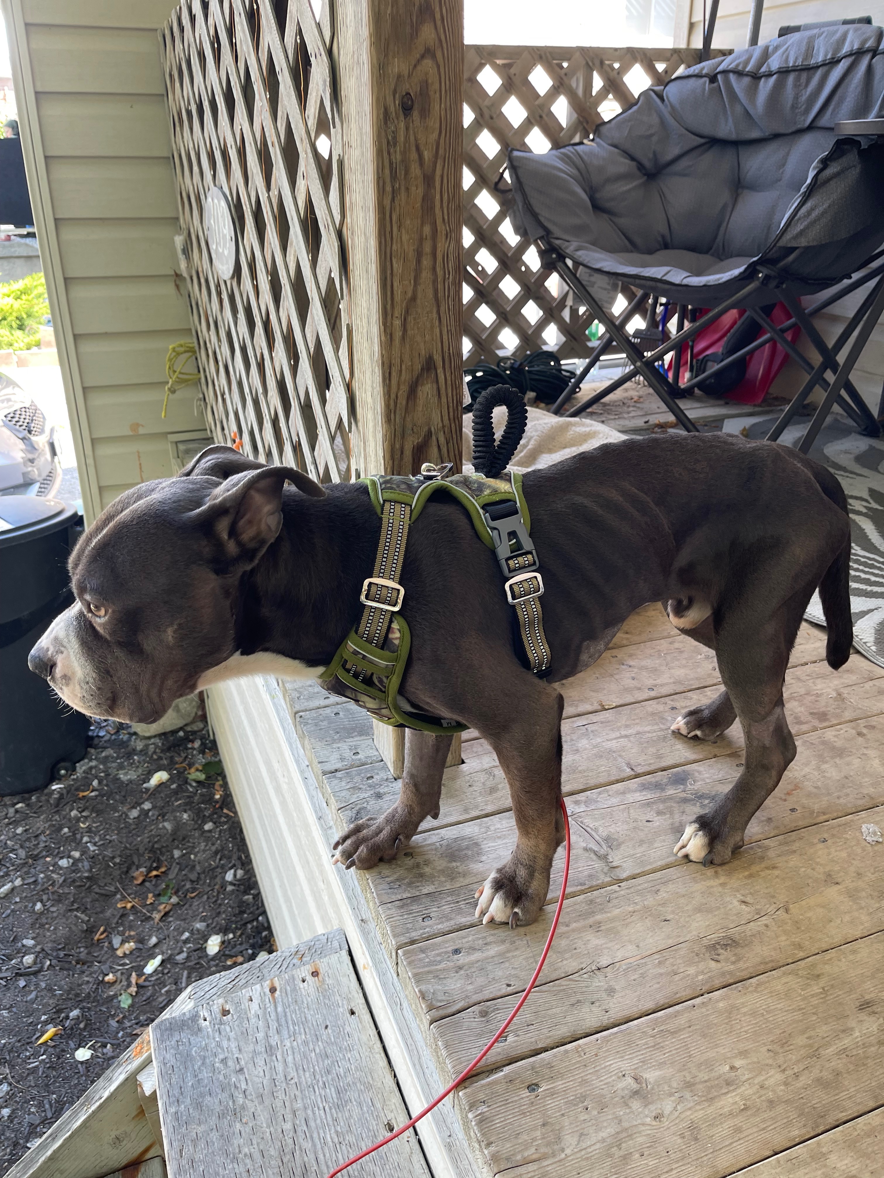 Fundraiser for Lani or Leigh-Ann Hilder by Kyle Carter : Donate to help ...