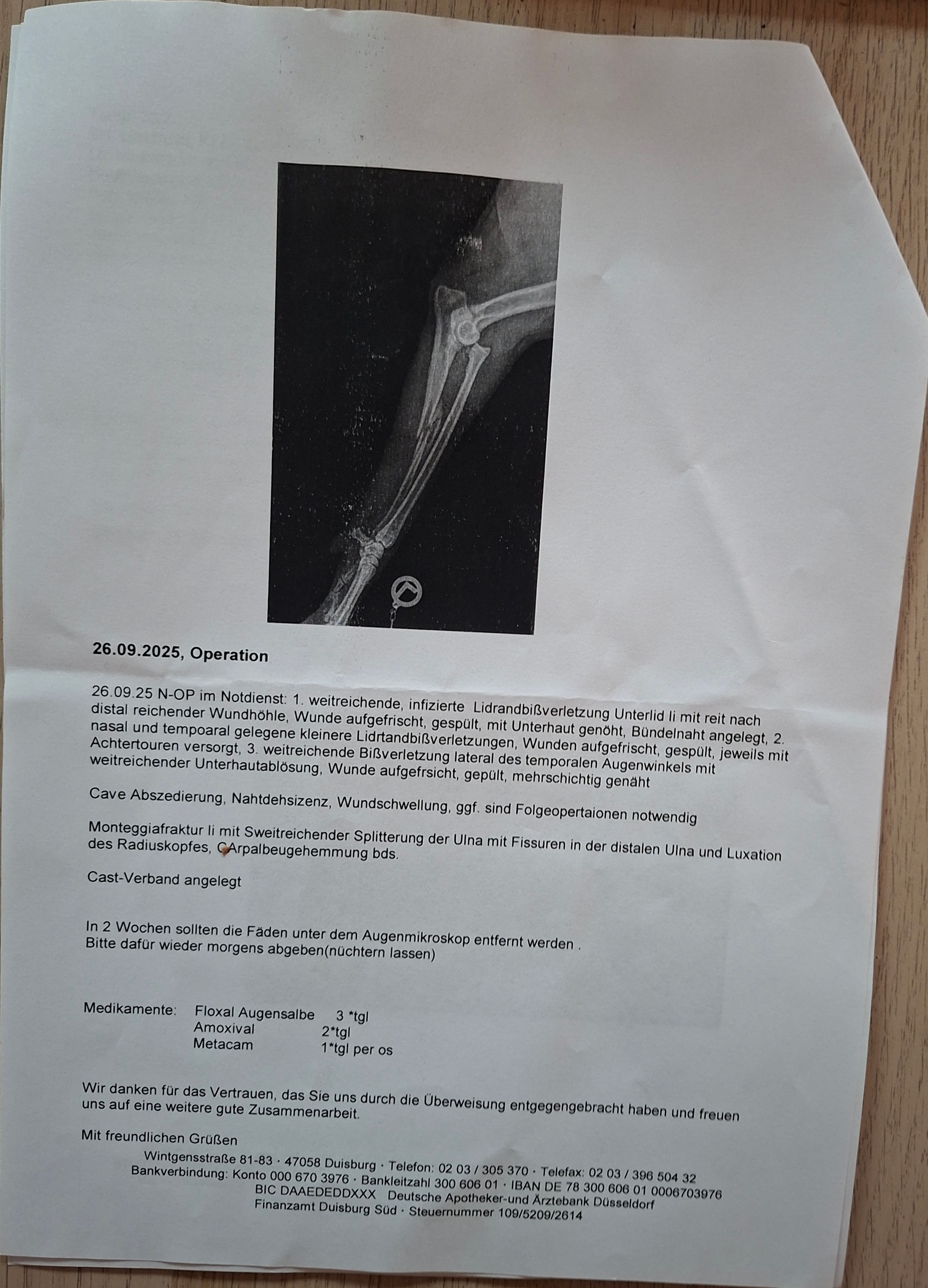 Fundraiser by Anna Maria Huelshoff : Icys gebrochenes Bein