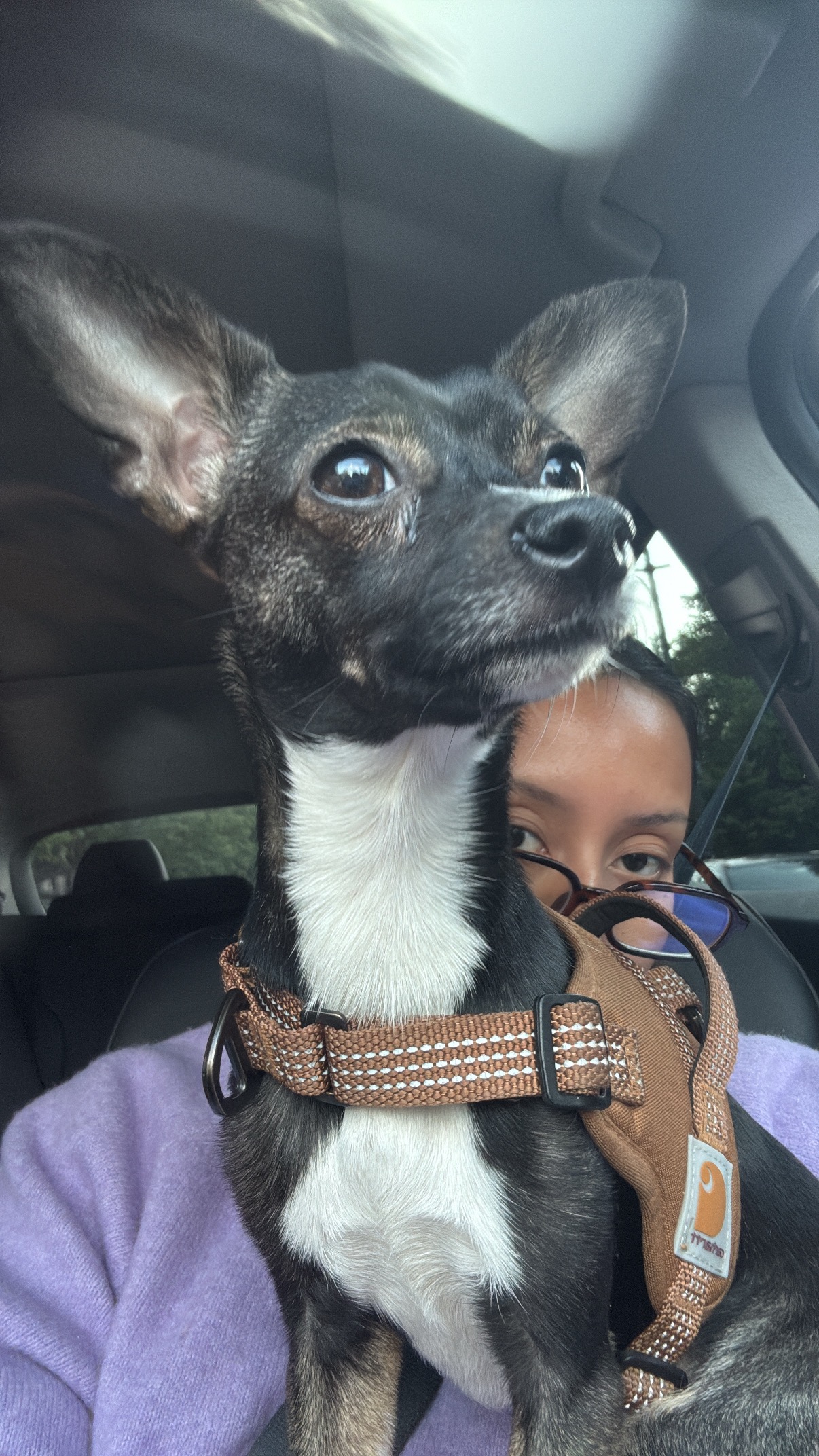 Fundraiser by Ashley Galvez : Support Tyson's Jaw Surgery Recovery