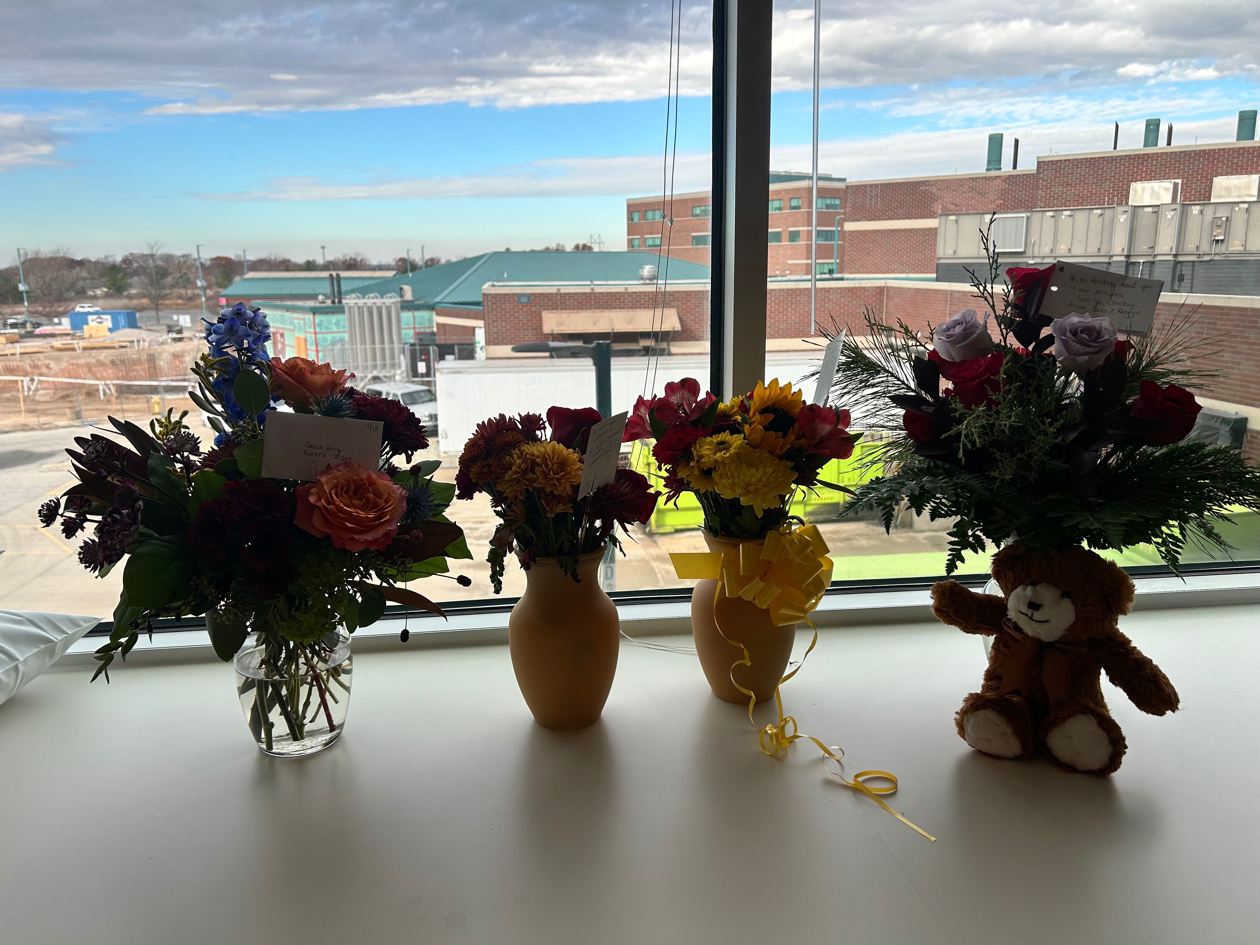 Fundraiser by Briar Wery : Donate to Aid Sarah's Healing Process