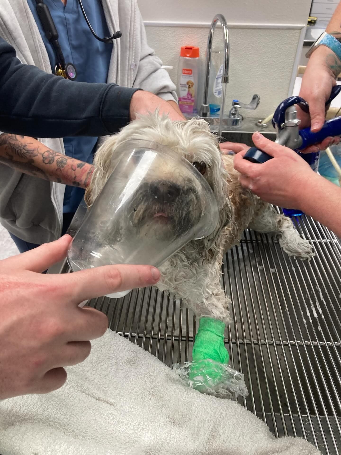 Fundraiser by Mani Mezquiye : Help the Mezquite family rebuild and find ...