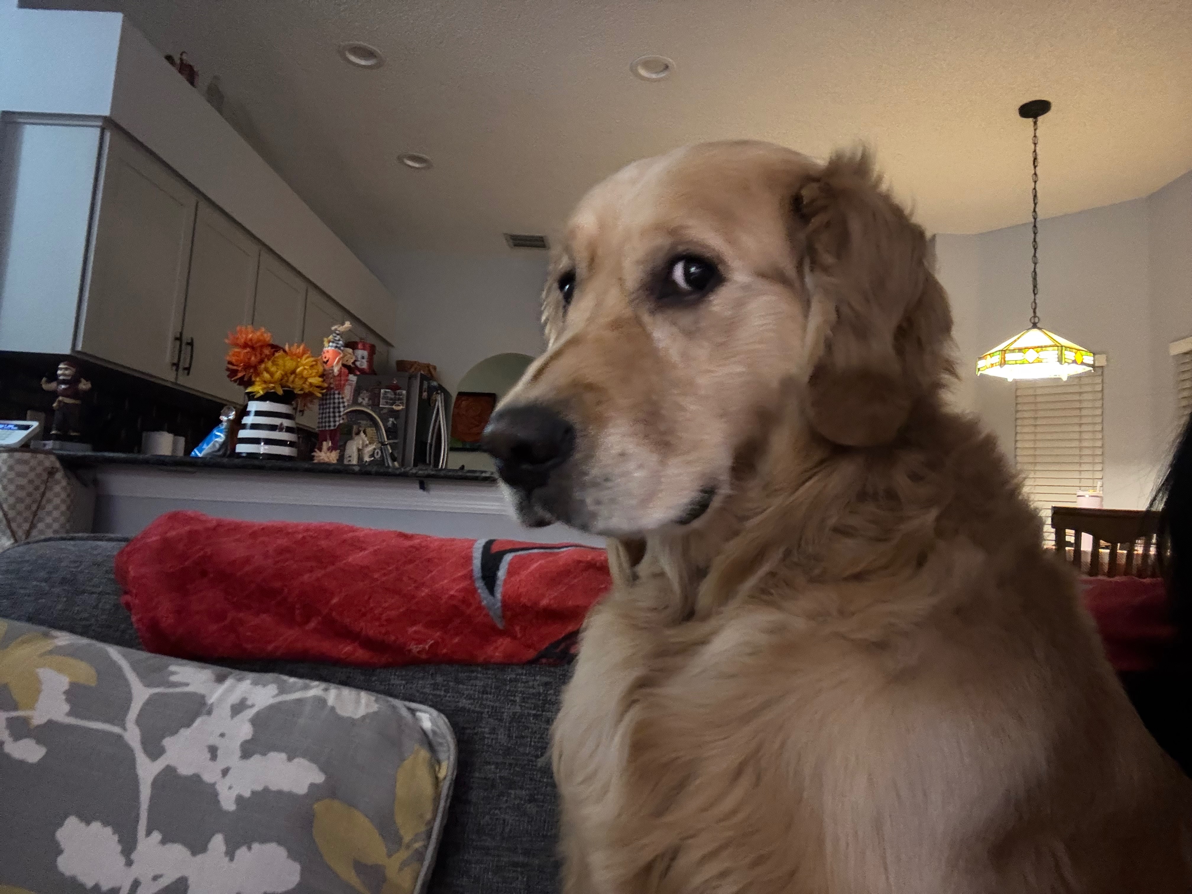 Fundraiser by Julie DeGraw : Support Alec's Family After Tragic Loss