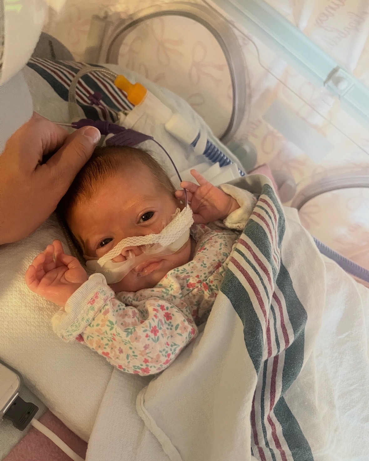 Fundraiser for Allie Bruton by Amanda Kniatt : Support Lainey's NICU Journey
