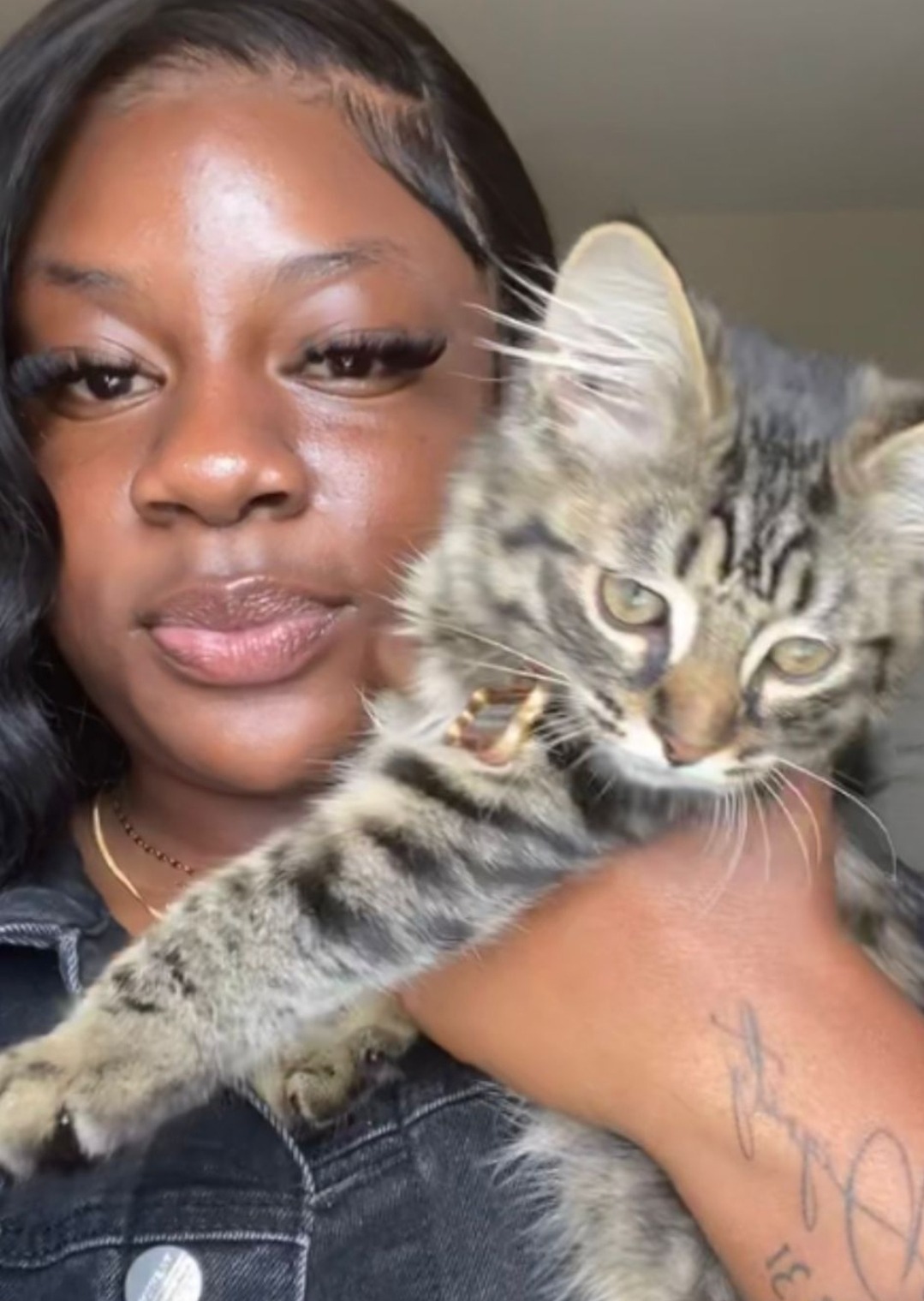 Fundraiser by Deja Rhoden : Please help our Cat Aiko well again Acute ...