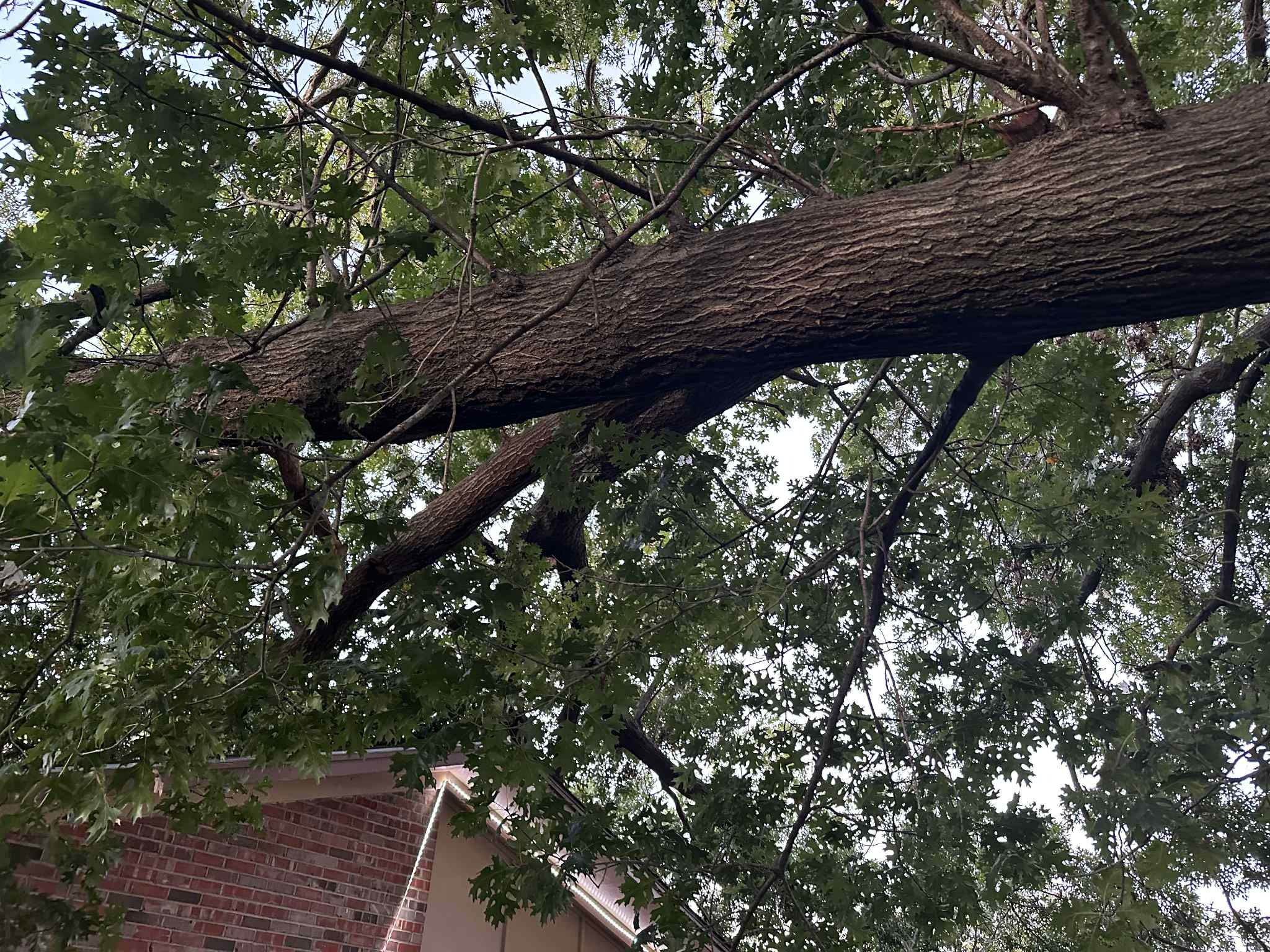 Fundraiser for Robert Miller Jr by Kelsey Corle : Urgent Roof Repair ...