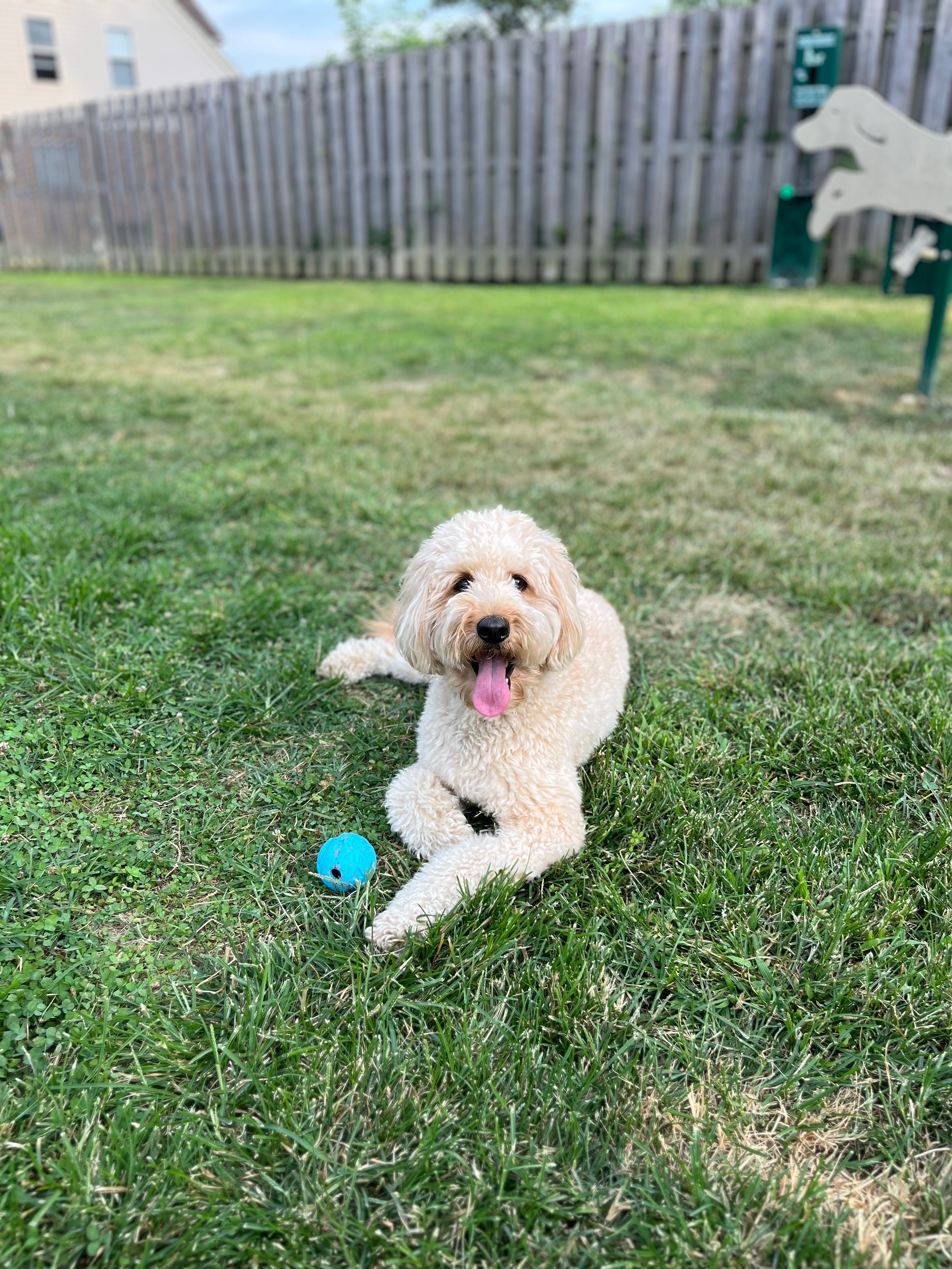 Fundraiser by Tara Larrance : Help Lucy Keep Fighting for Her Miracle