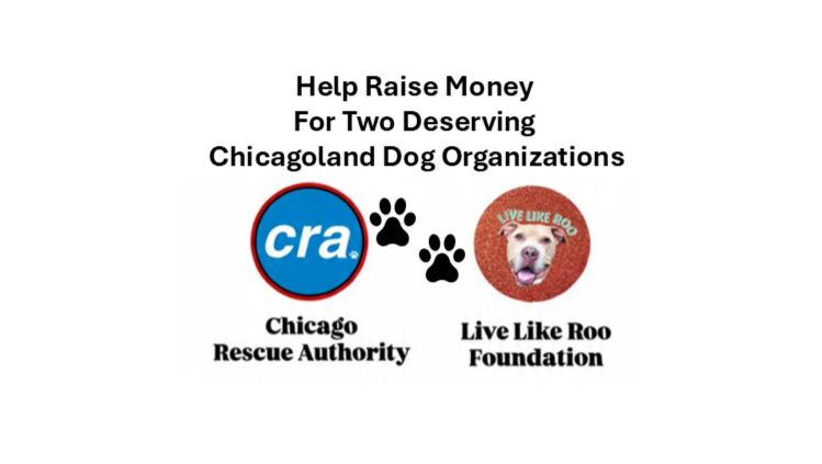 Fundraiser by Tony LeMasters : Support Chicago Rescue Authority & Live ...