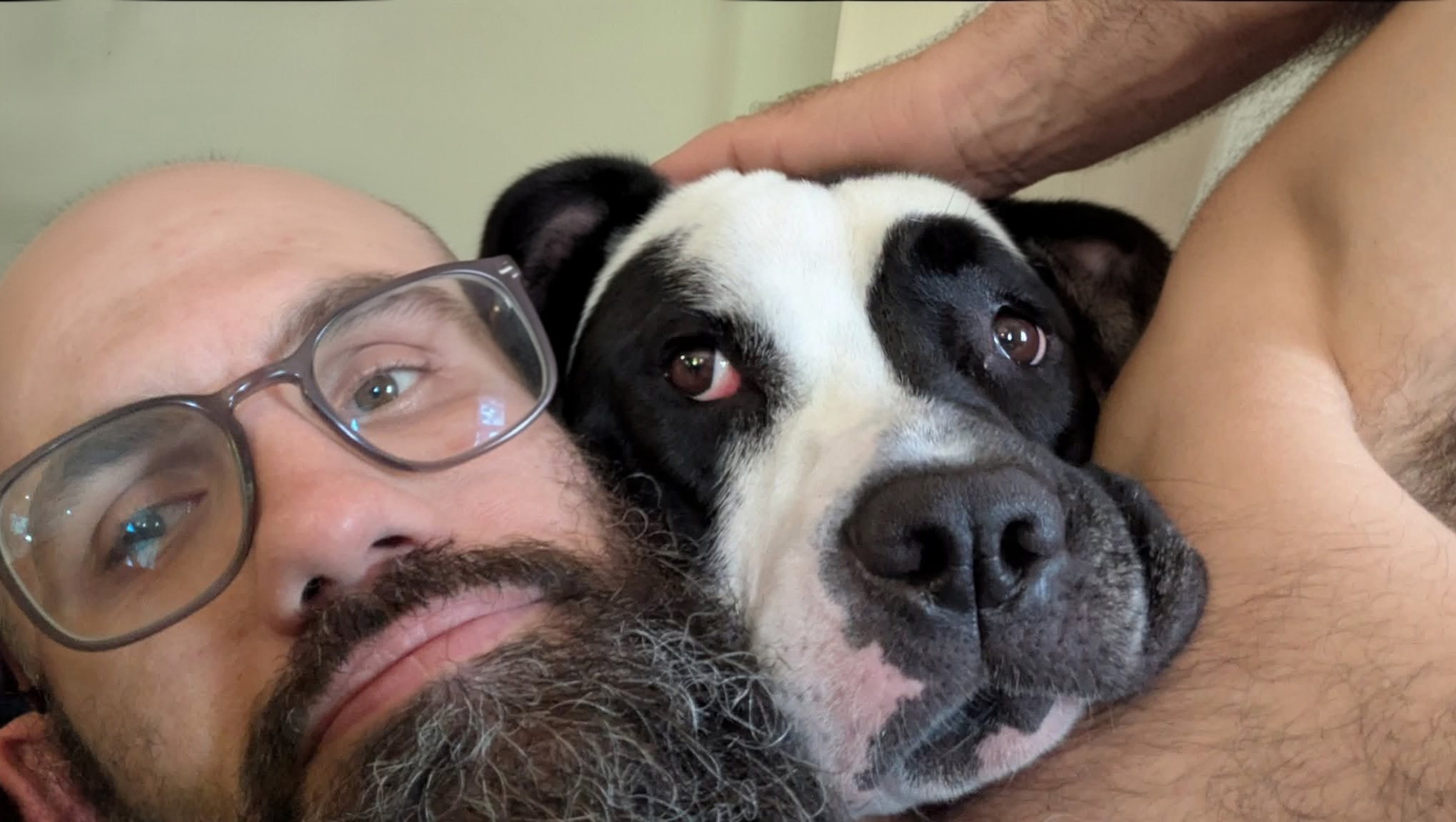 Fundraiser by Natty Lynn : Help Callie Moo Walk Again: Support Needed