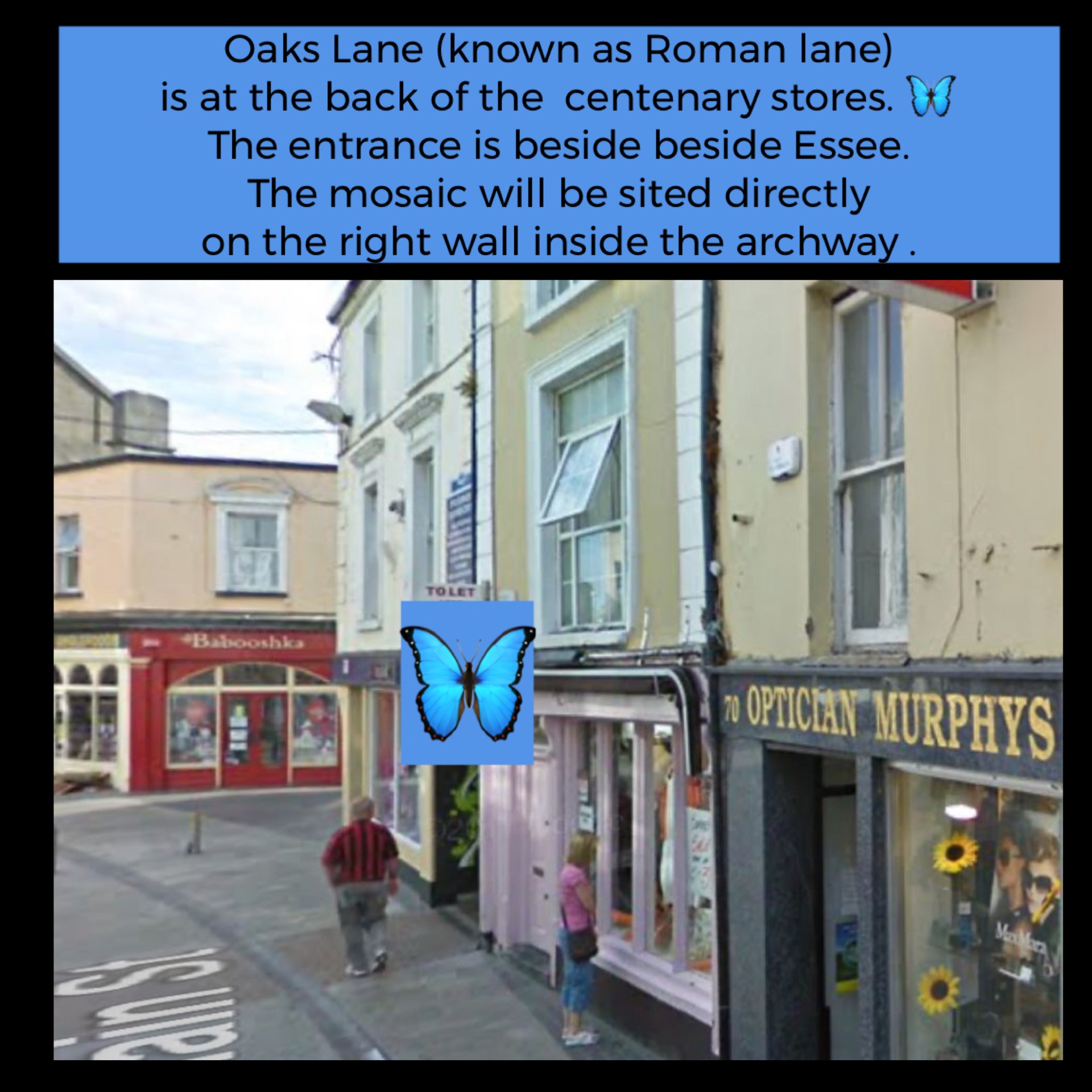 Fundraiser by Wexford Creative Laneways Wings of Unity : The Vine of ...