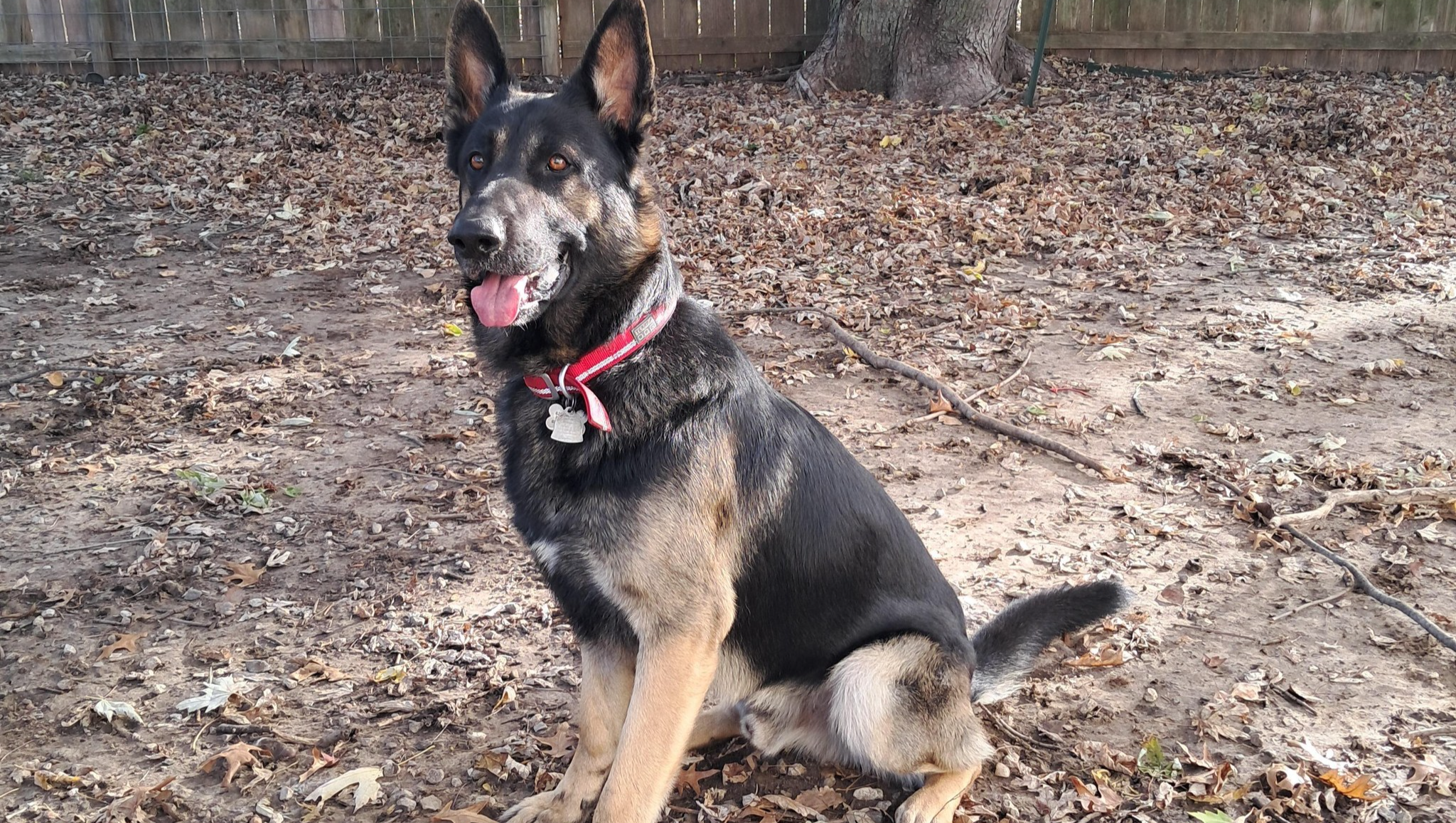 Fundraiser by Brian Price : Looking for help for groceries for Arthur ...