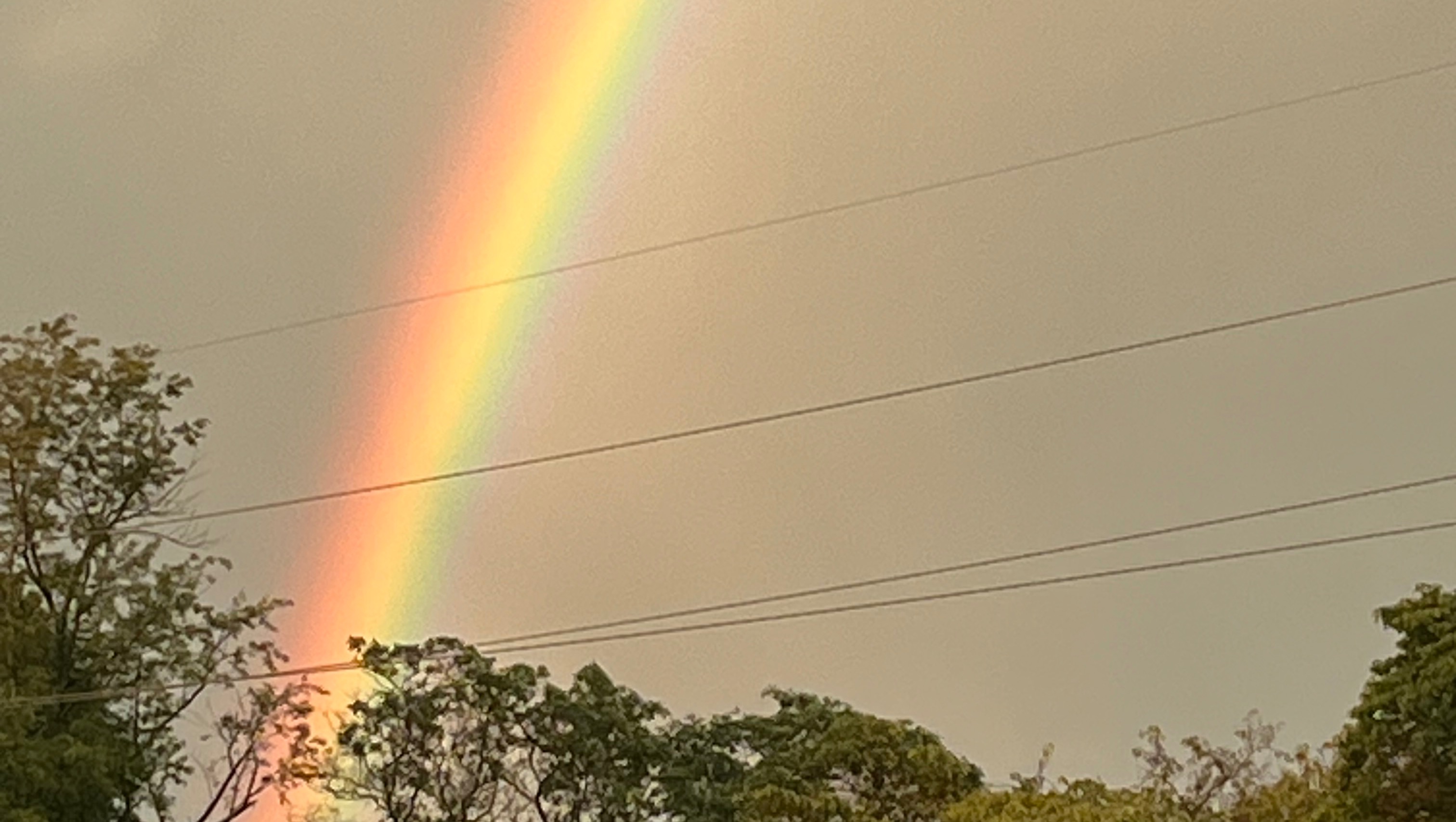 Fundraiser by Amy Cargill : Support Leah in Kicking Cancer’s Ass