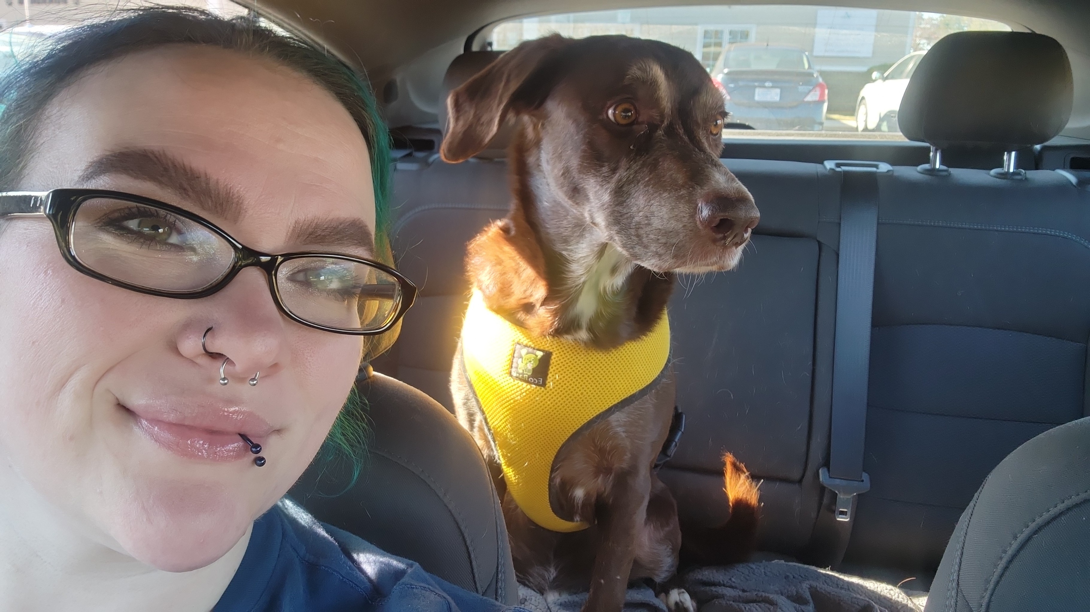 Fundraiser by Sam McGarvey : Help Capaldi Recover from Major Surgery